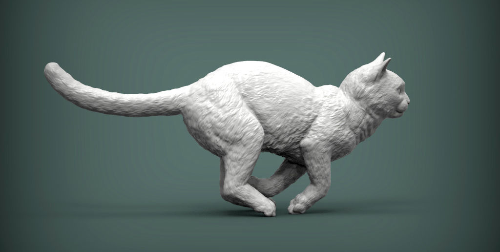 running cat 3D model 3D printable | CGTrader