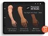 Procreate 3d Model - Right Arm male 3D model animated | CGTrader