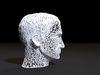 Gaius Julius Caesar 3D model 3D printable | CGTrader