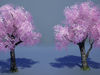 3D model Cherry Blossoms Low-Poly 3D Model VR / AR / low-poly | CGTrader