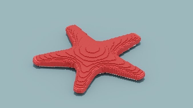 3D model Voxel Starfish VR / AR / low-poly | CGTrader