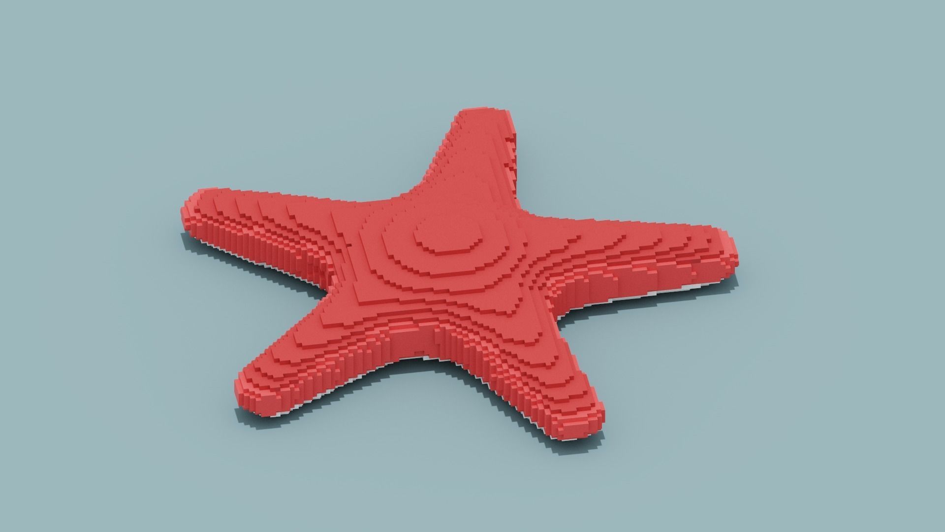 3D model Voxel Starfish VR / AR / low-poly | CGTrader