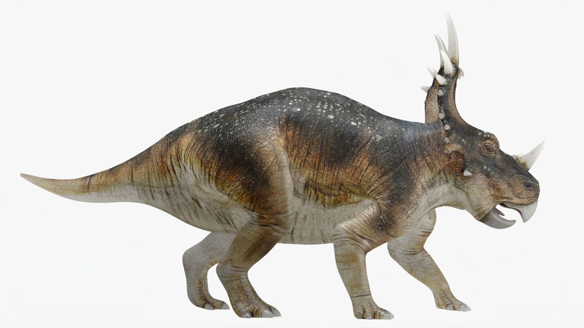 3D model Styracosaurus No rigging 2K textures VR / AR / low-poly | CGTrader