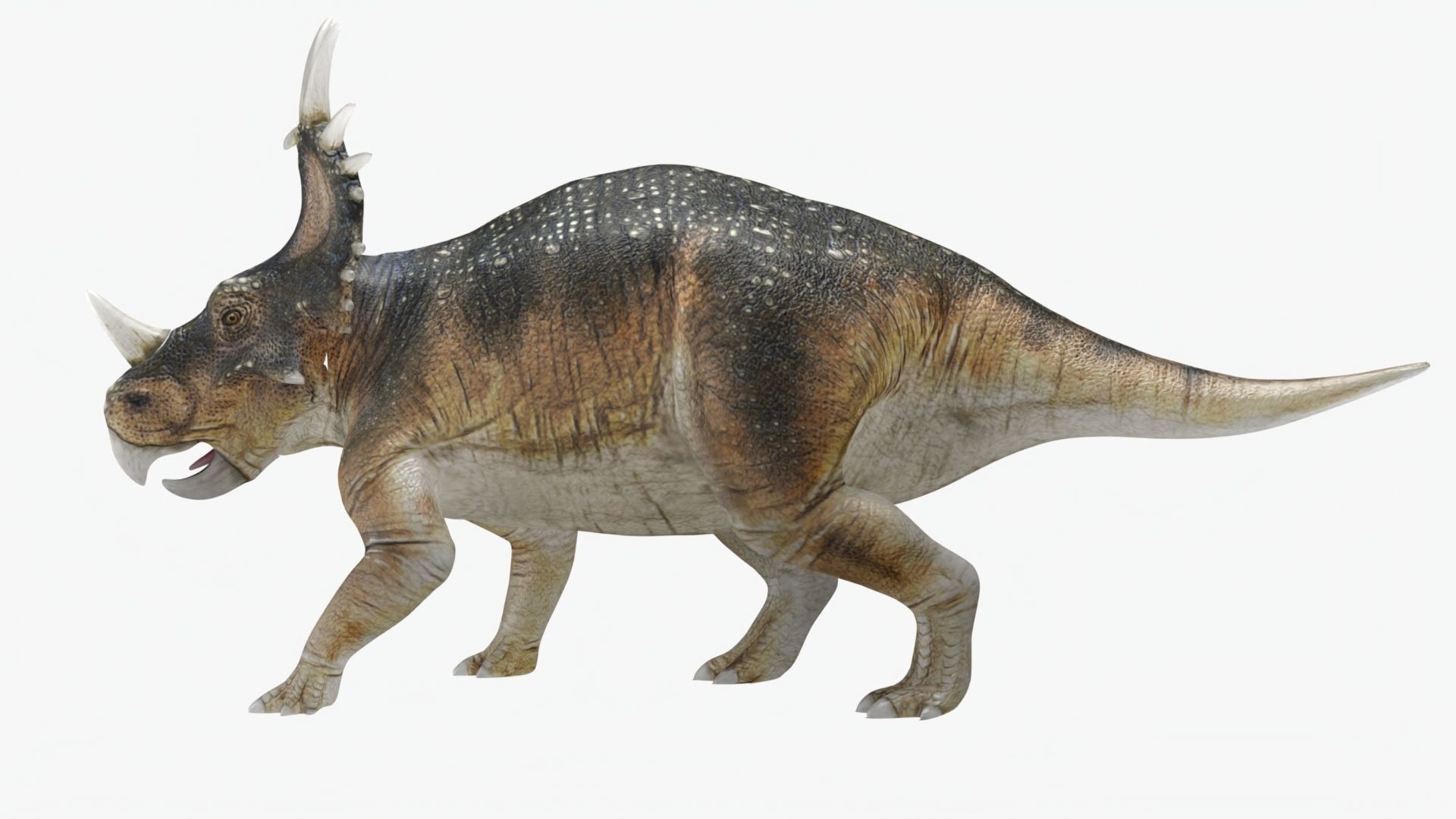 3D model Styracosaurus No rigging 2K textures VR / AR / low-poly | CGTrader
