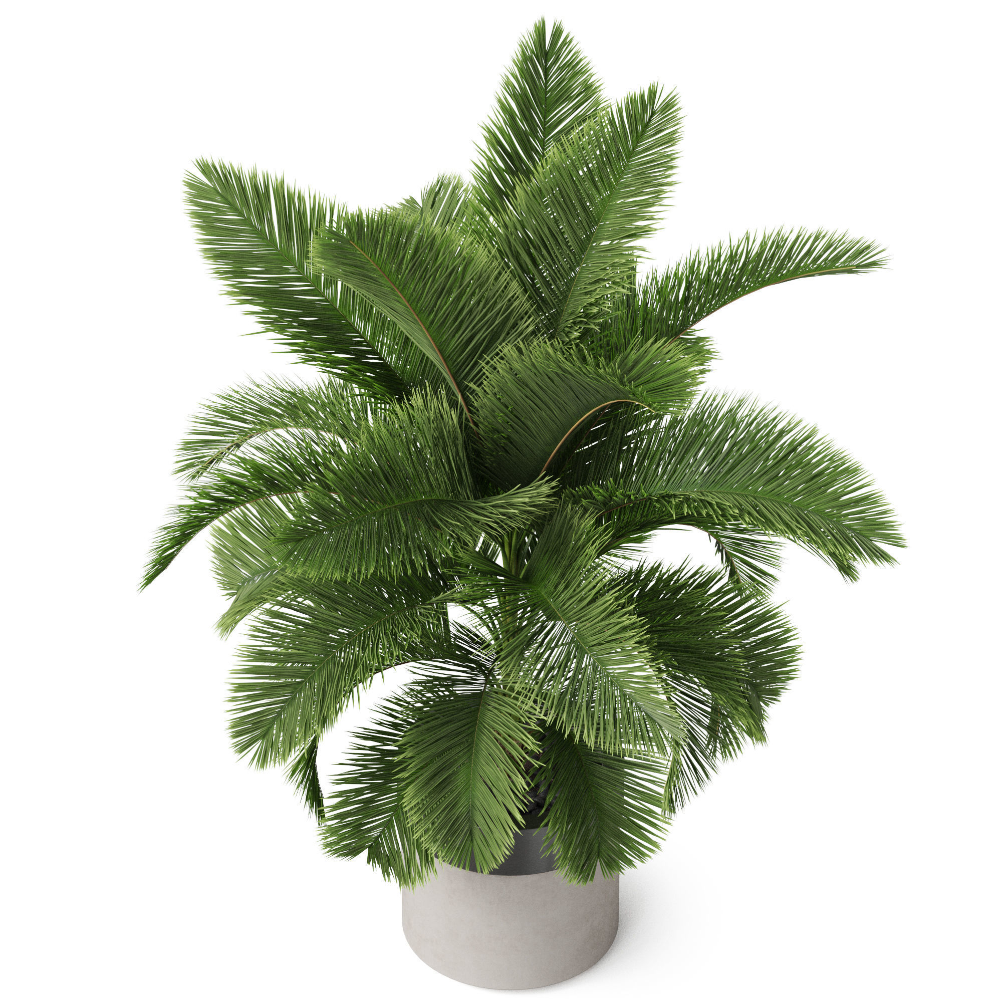 Plants collection 832 3D model | CGTrader
