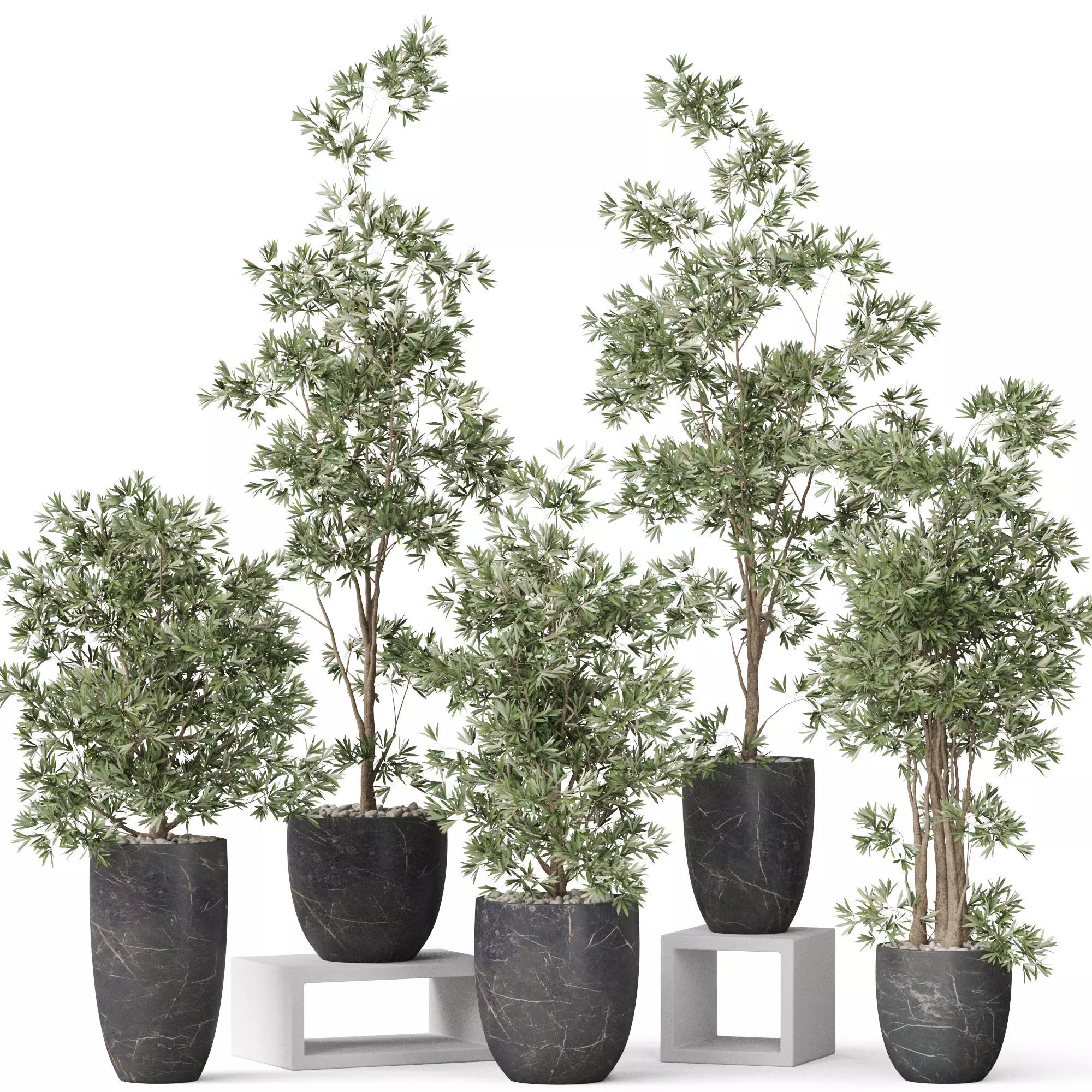 Plants collection 848 3D model | CGTrader
