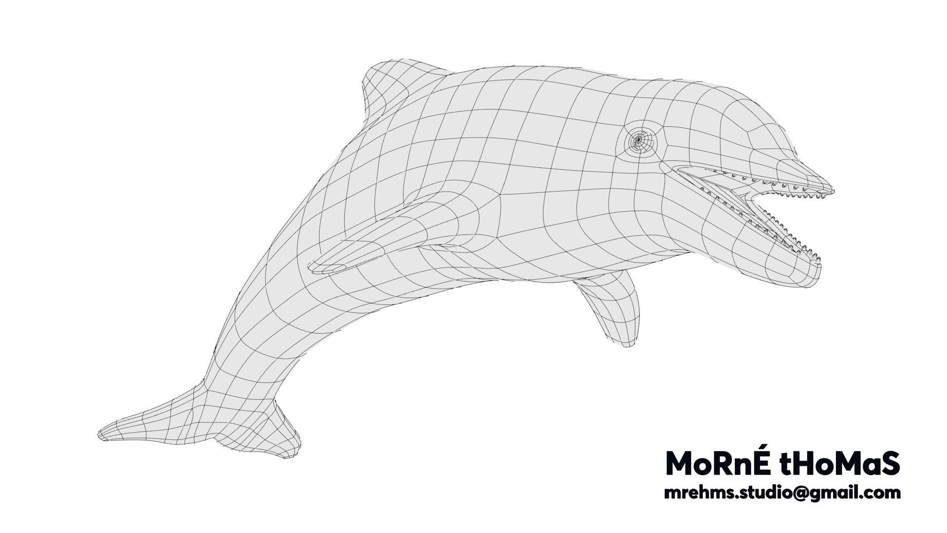 Dolphin free 3D model animated rigged | CGTrader