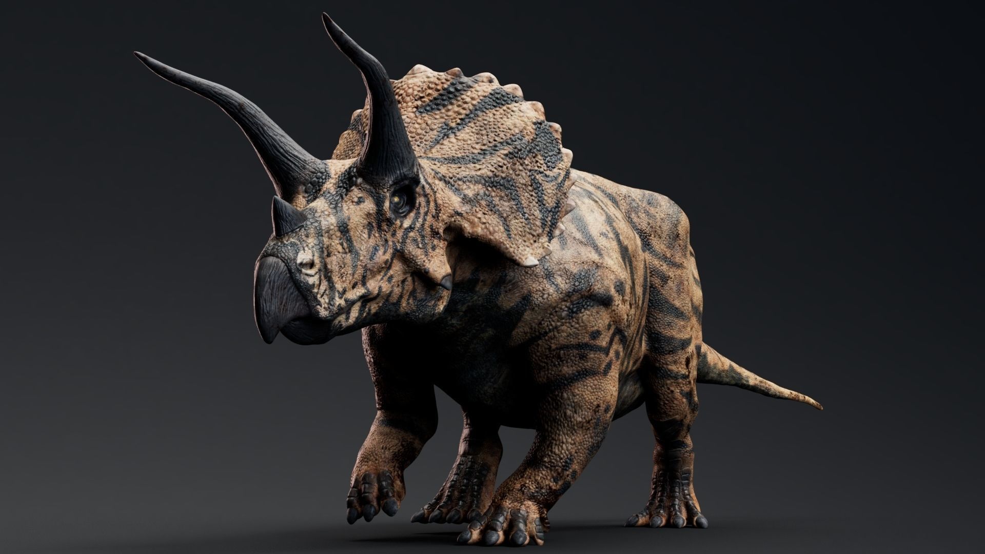 3D model Triceratops Unreal Engine and Unity Projects VR / AR / low ...