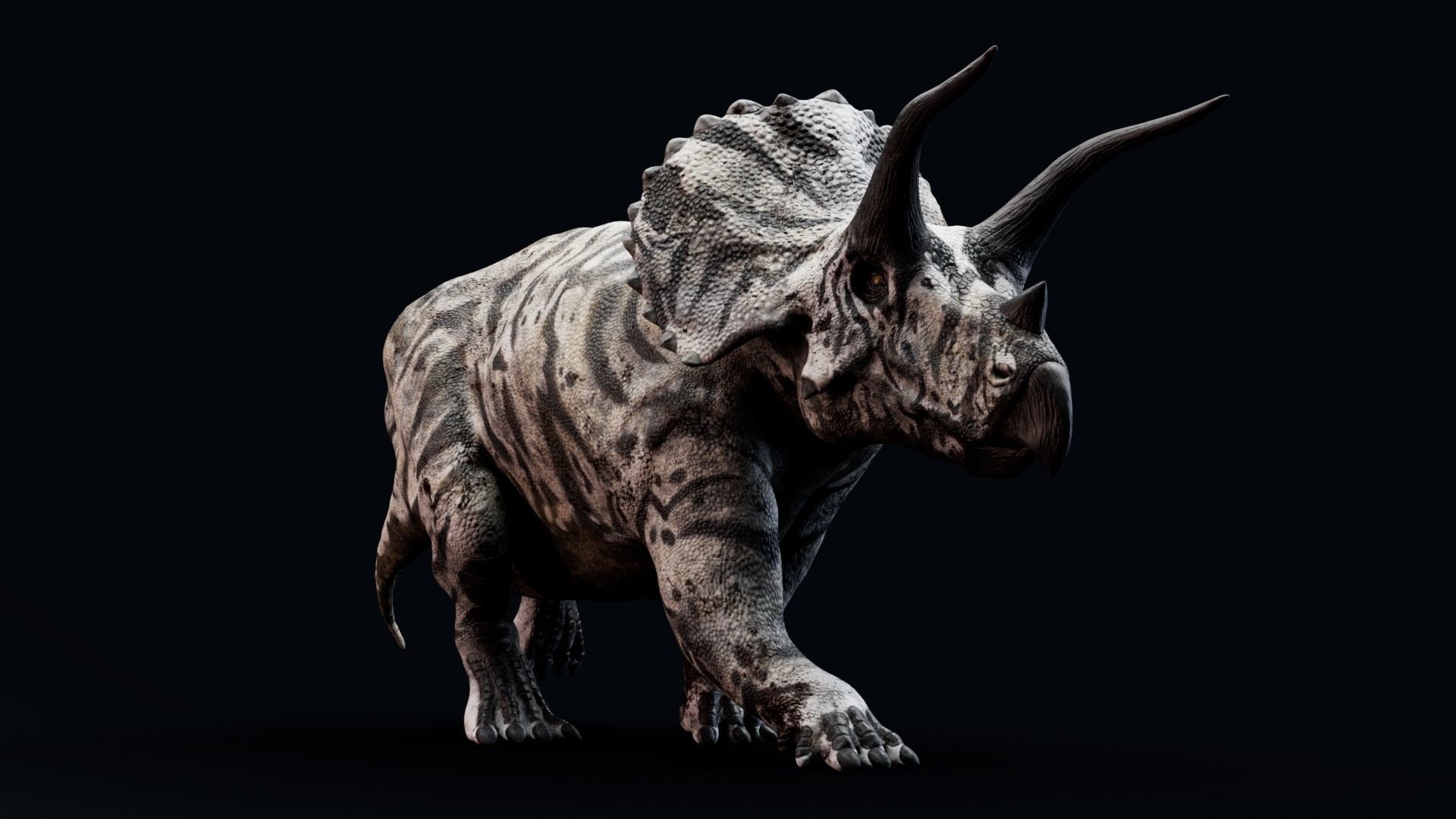 3D model Triceratops Unreal Engine and Unity Projects VR / AR / low ...