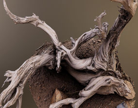 Root 3D Models | CGTrader