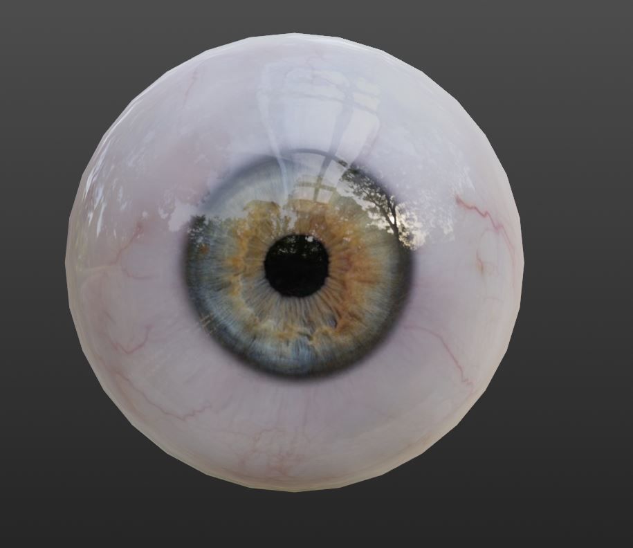 Eye ball 3D model | CGTrader