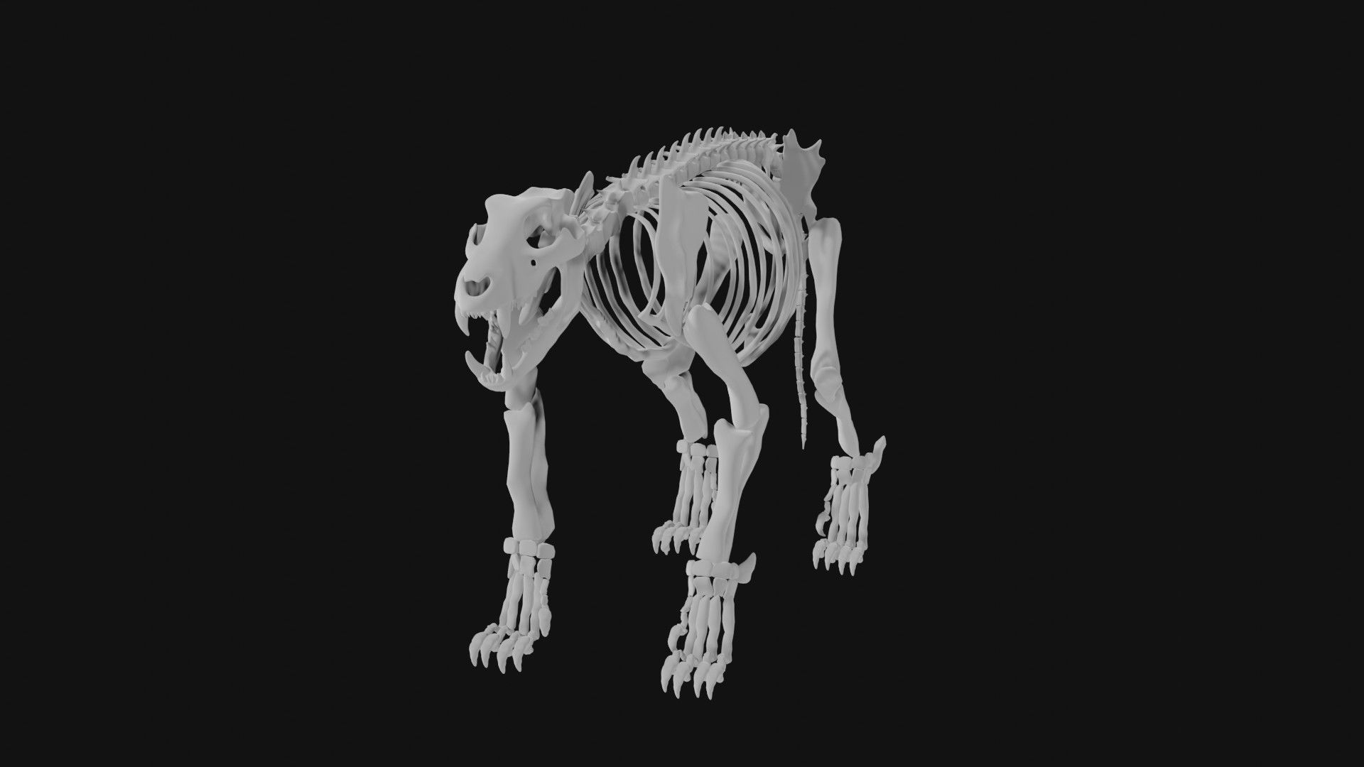 Lion skeleton 3D model | CGTrader