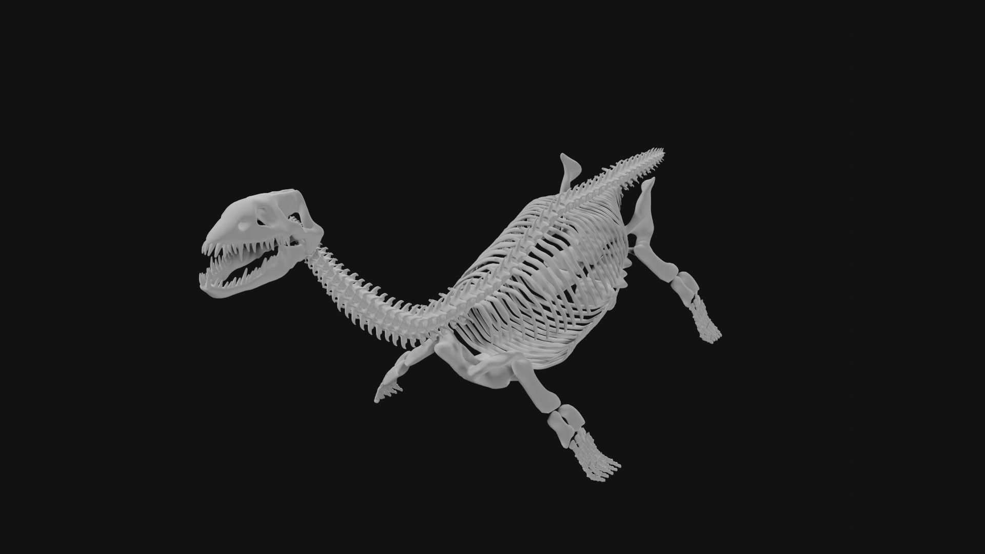 Plesiosaur skeleton 3D model | CGTrader