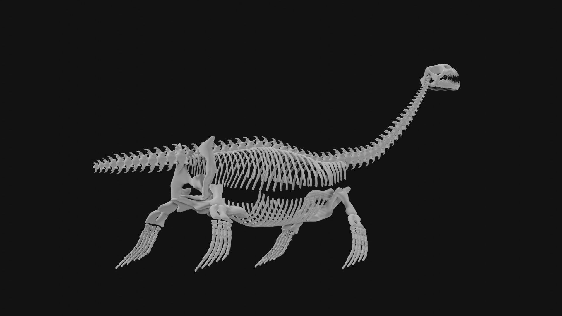 Plesiosaur skeleton 3D model | CGTrader