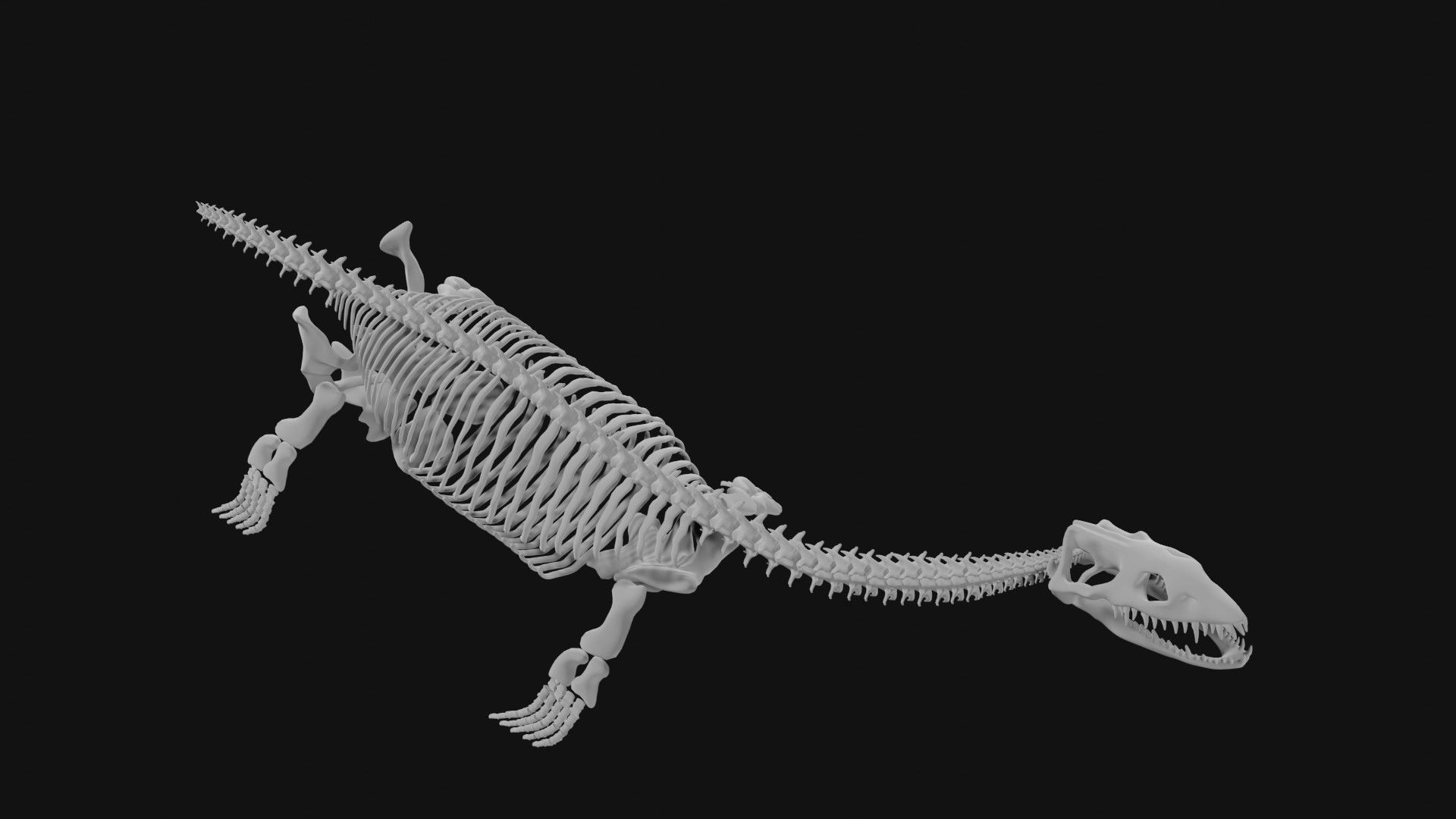 Plesiosaur skeleton 3D model | CGTrader