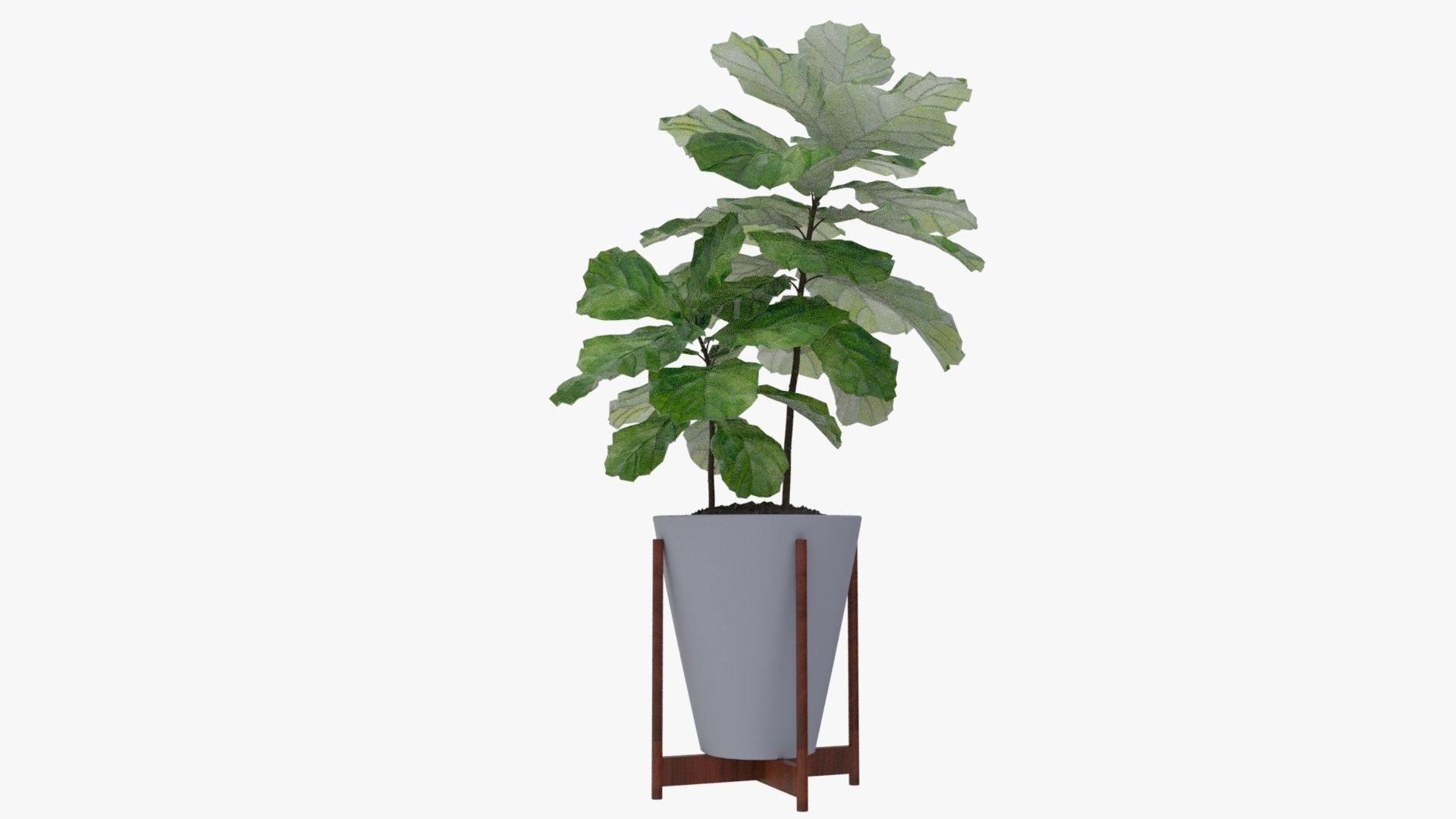 3D model Realistic Houseplants Collection plant in pot VR / AR / low ...