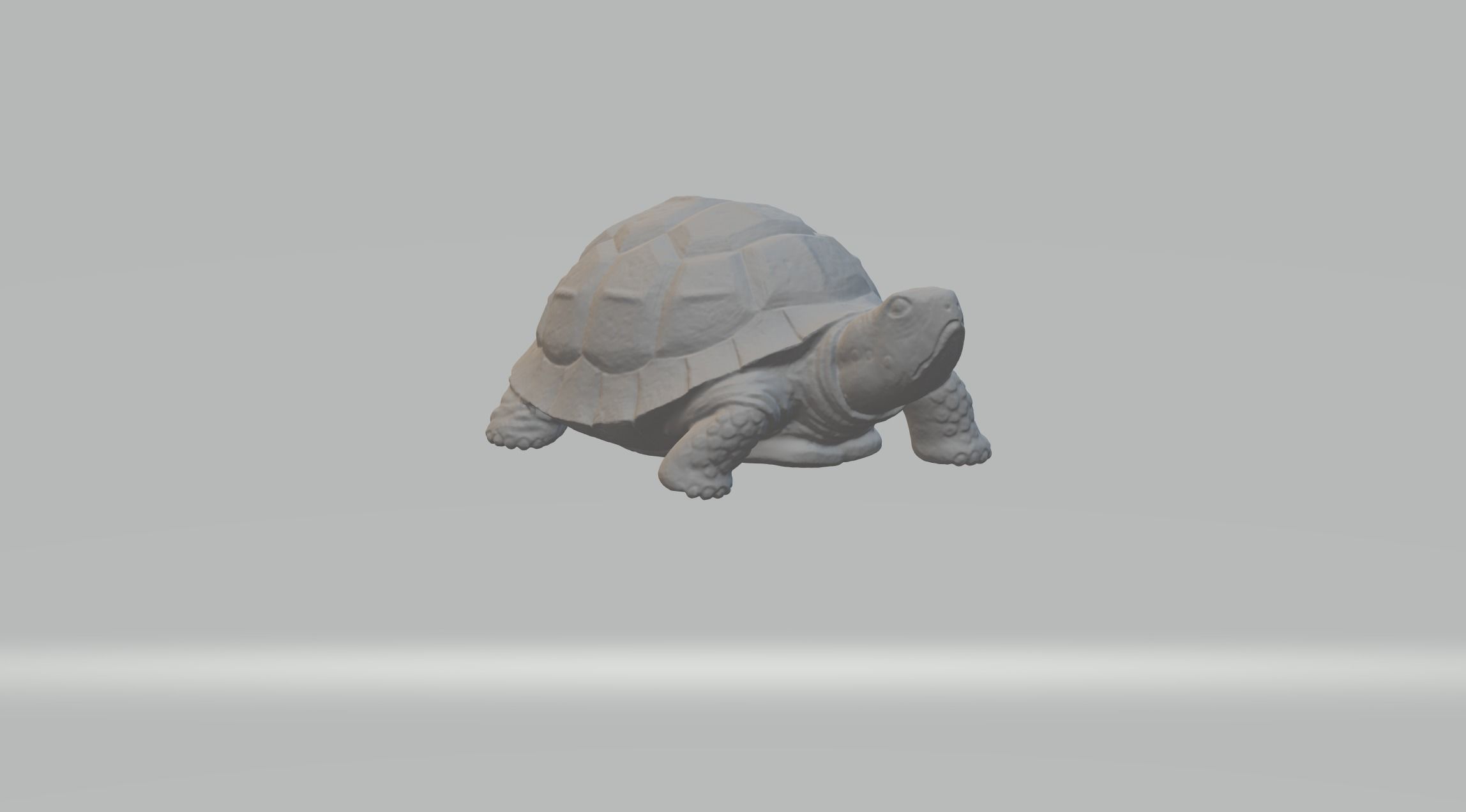 Turtle 3D Model tortoise 3D model 3D printable | CGTrader