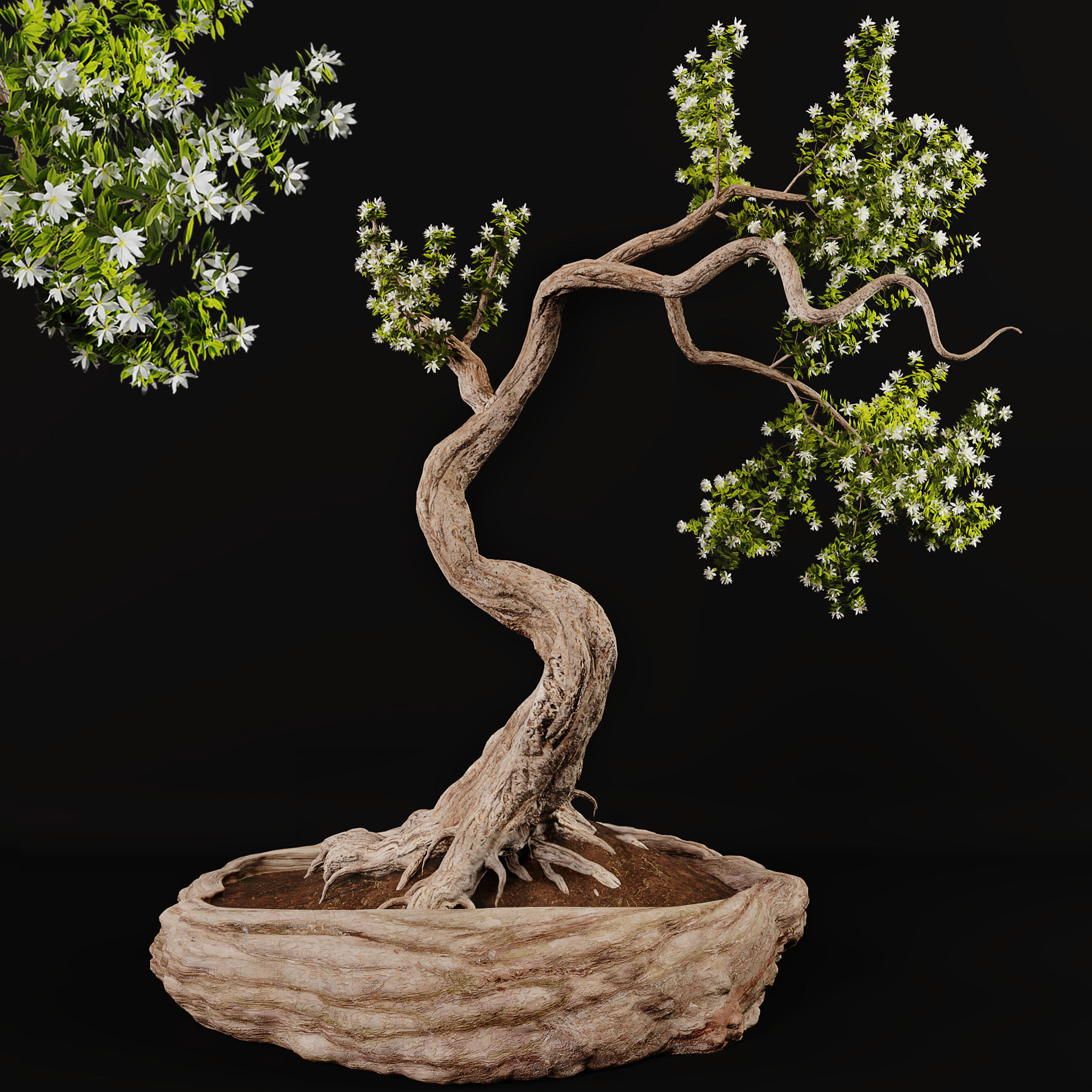 Bonsai plant 01 3D model | CGTrader