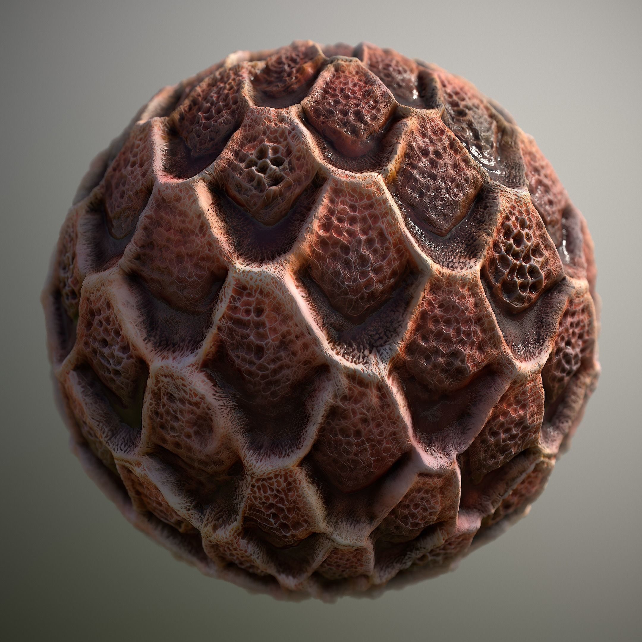 Material Skin Alien 9 Seamless PBR Texture Texture | CGTrader