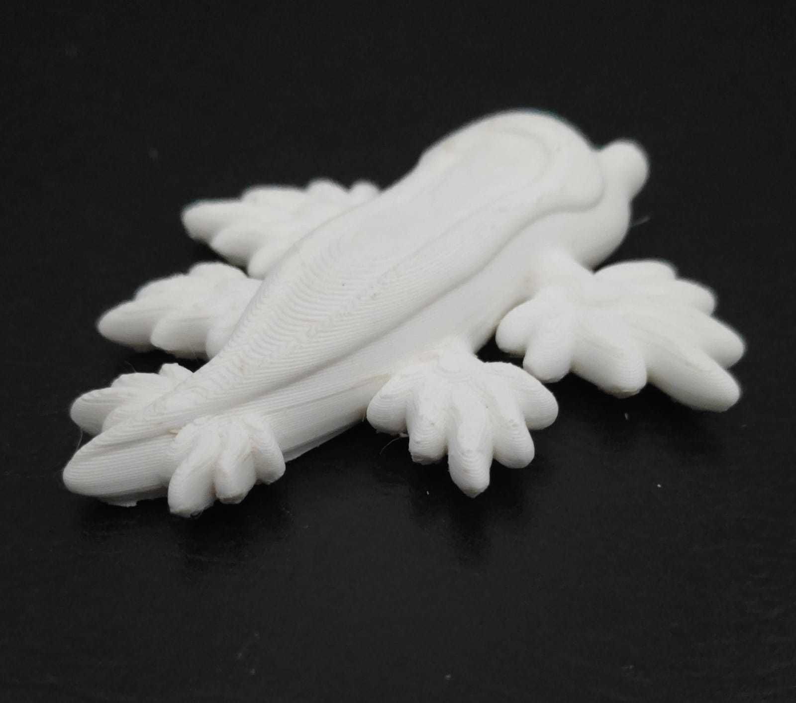 Blue Sea Dragon 3D model 3D printable | CGTrader