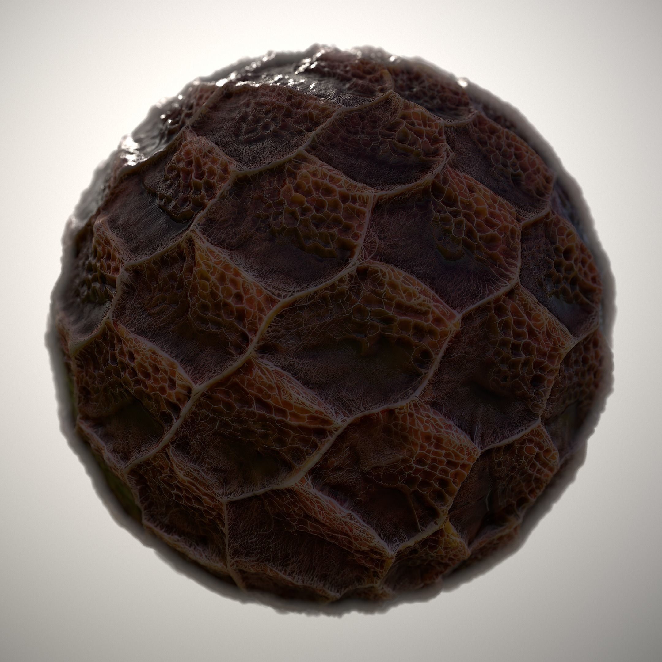 Material Skin Alien 29 Seamless PBR Texture Texture | CGTrader