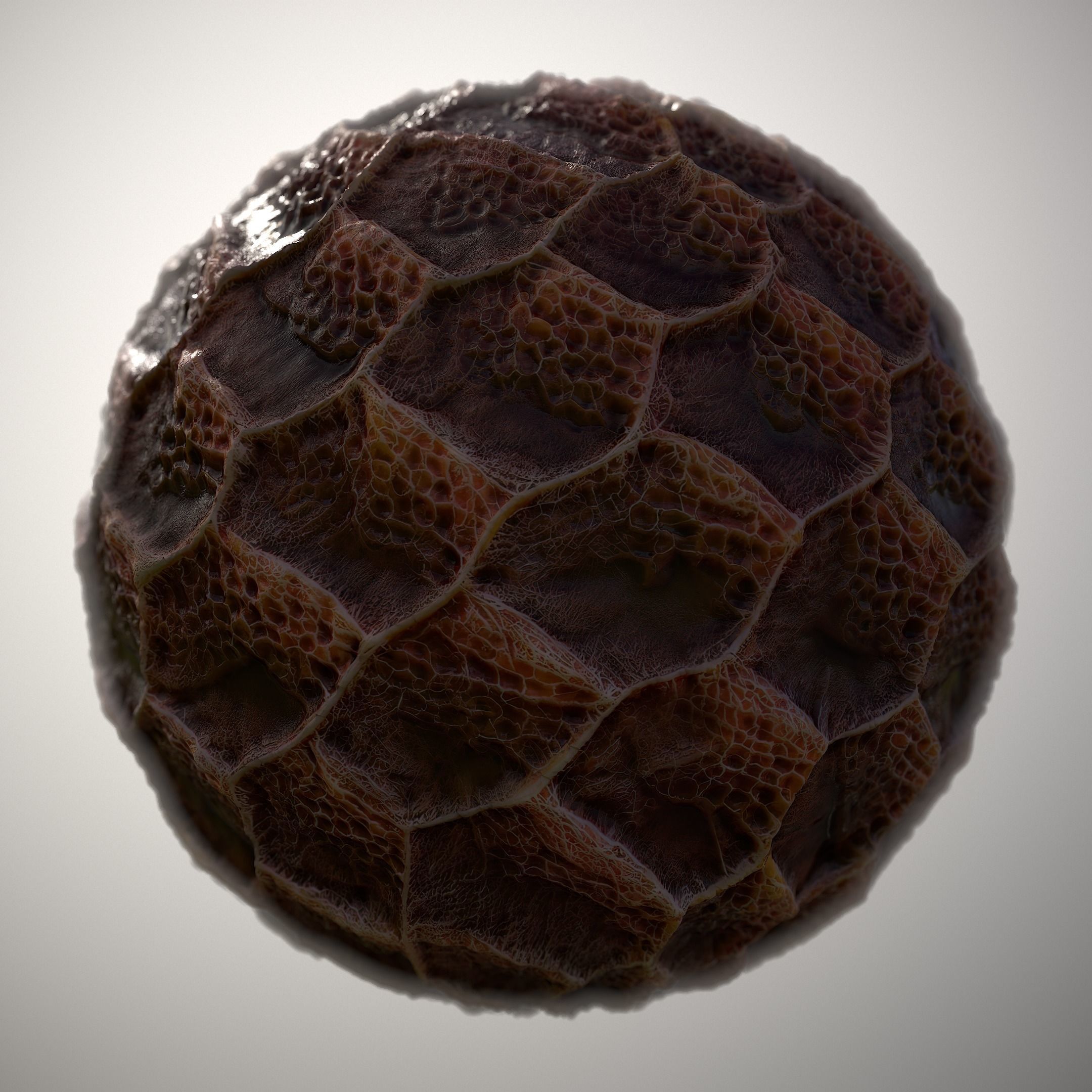 Material Skin Alien 29 Seamless PBR Texture Texture | CGTrader