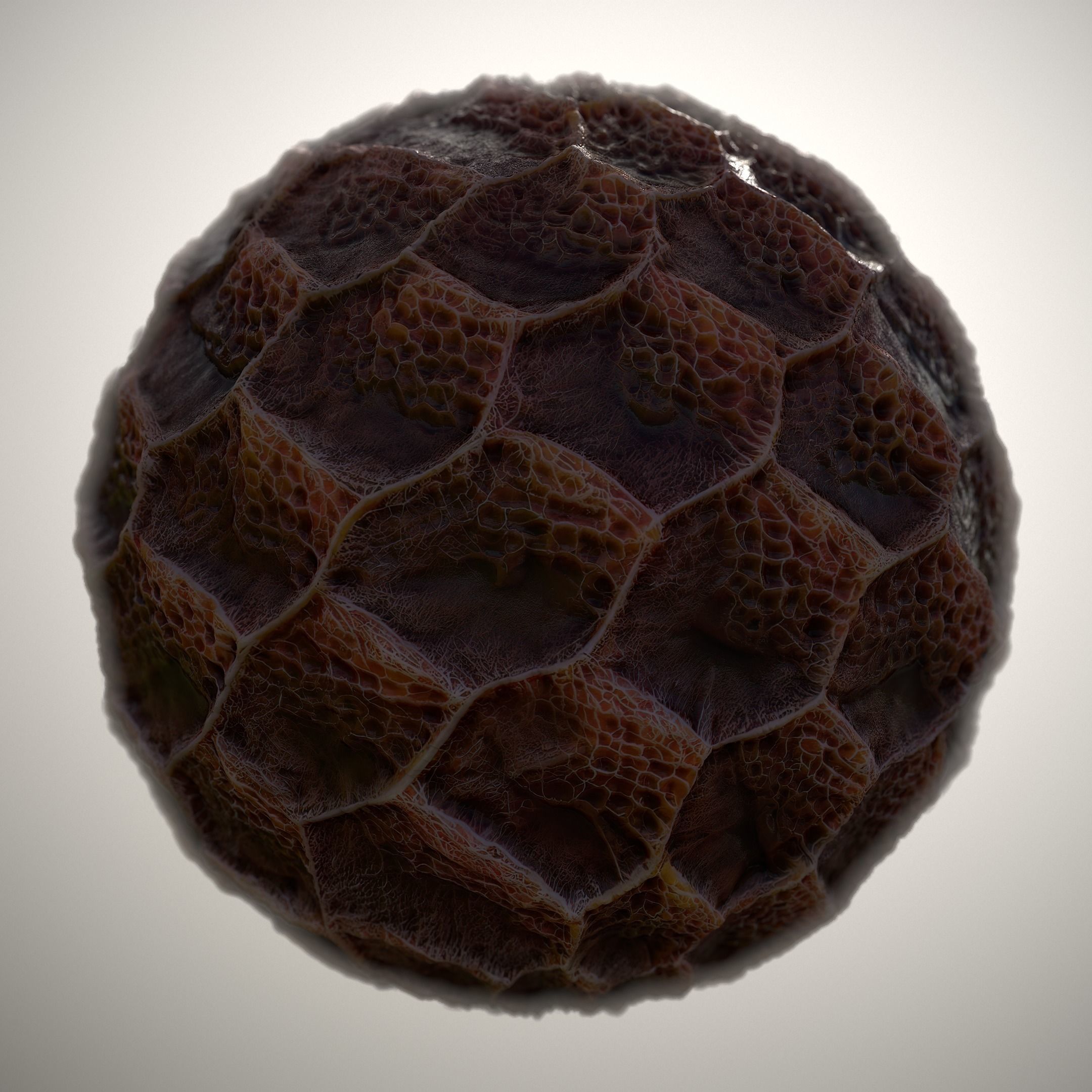 Material Skin Alien 29 Seamless PBR Texture Texture | CGTrader