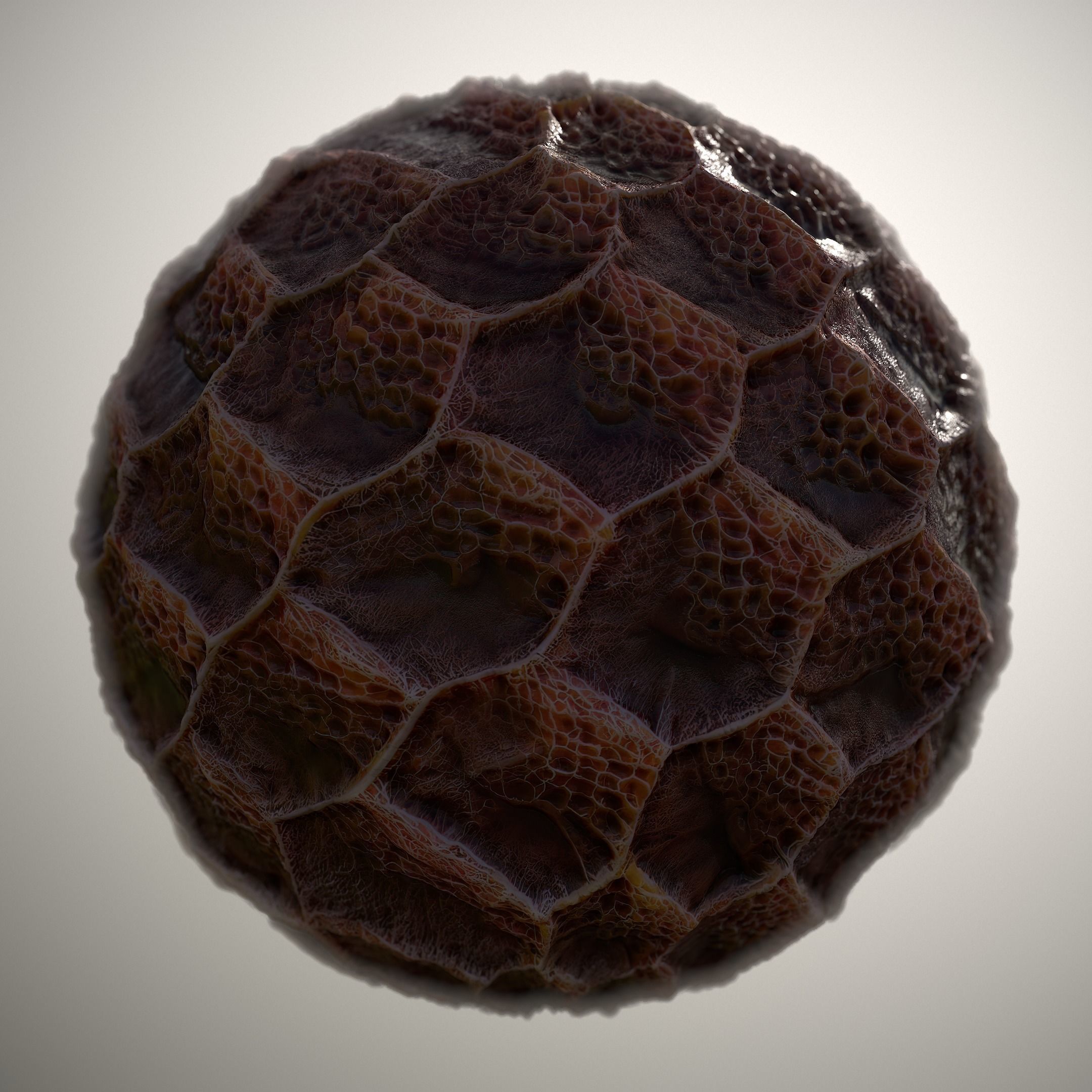 Material Skin Alien 29 Seamless PBR Texture Texture | CGTrader
