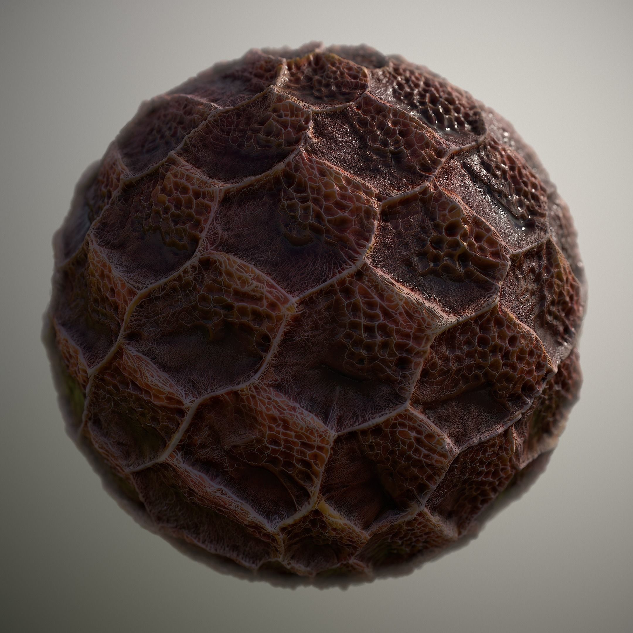 Material Skin Alien 29 Seamless PBR Texture Texture | CGTrader