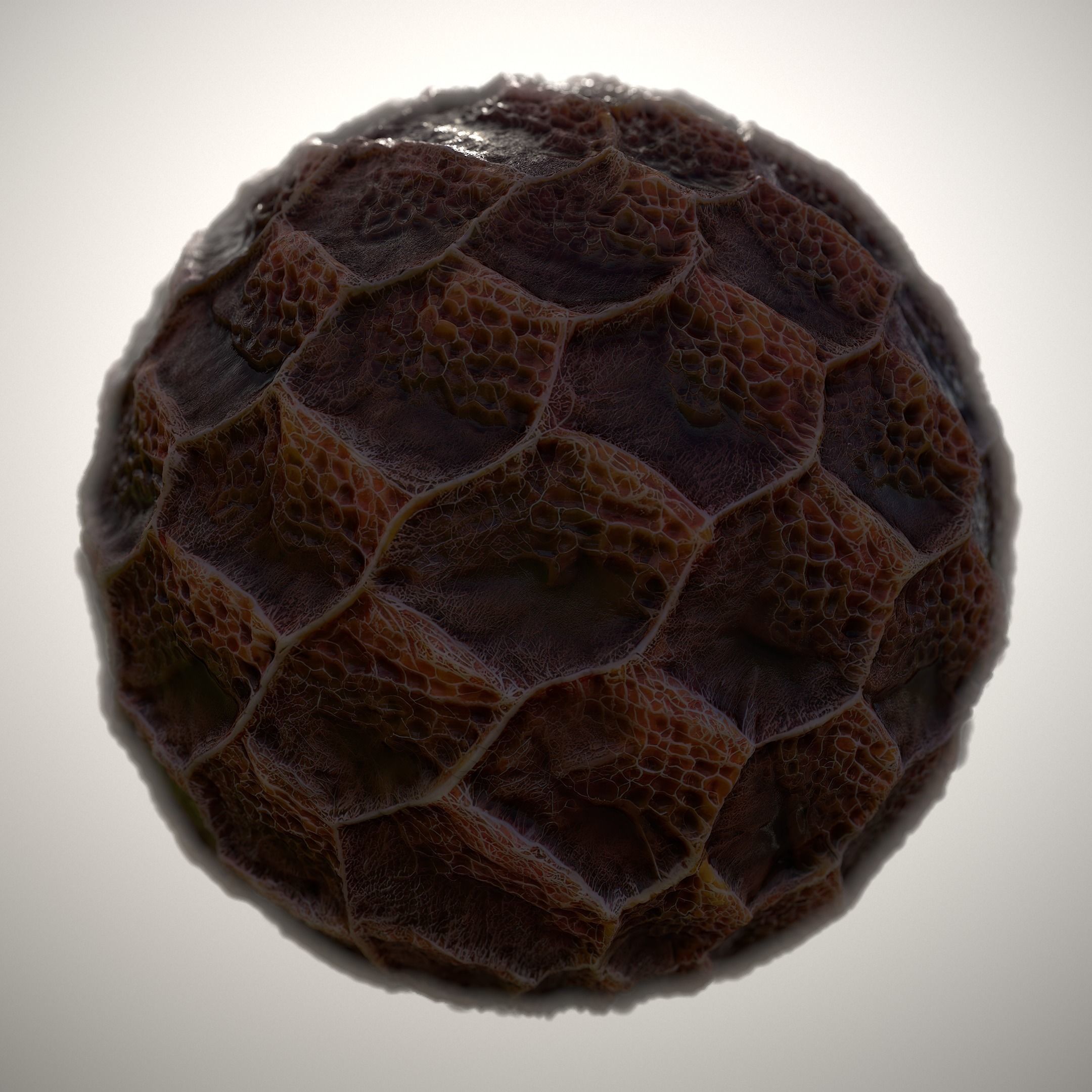 Material Skin Alien 29 Seamless PBR Texture Texture | CGTrader