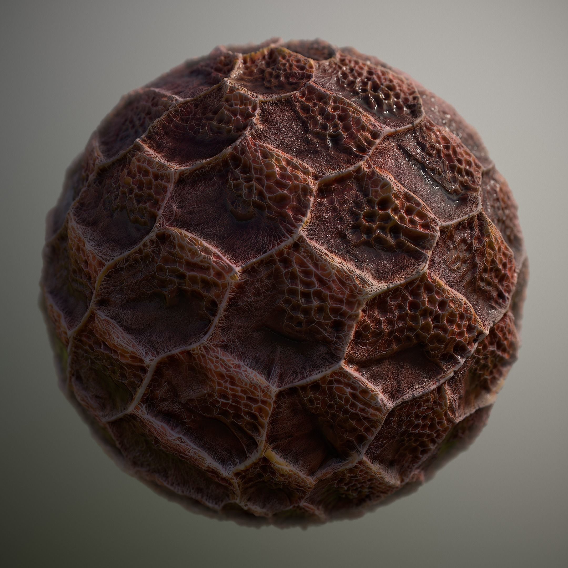 Material Skin Alien 29 Seamless PBR Texture Texture | CGTrader