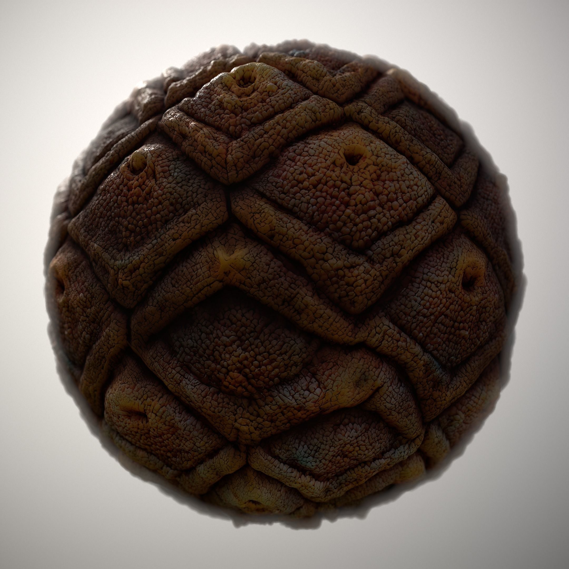 Material Skin Alien 24 Seamless PBR Texture Texture | CGTrader