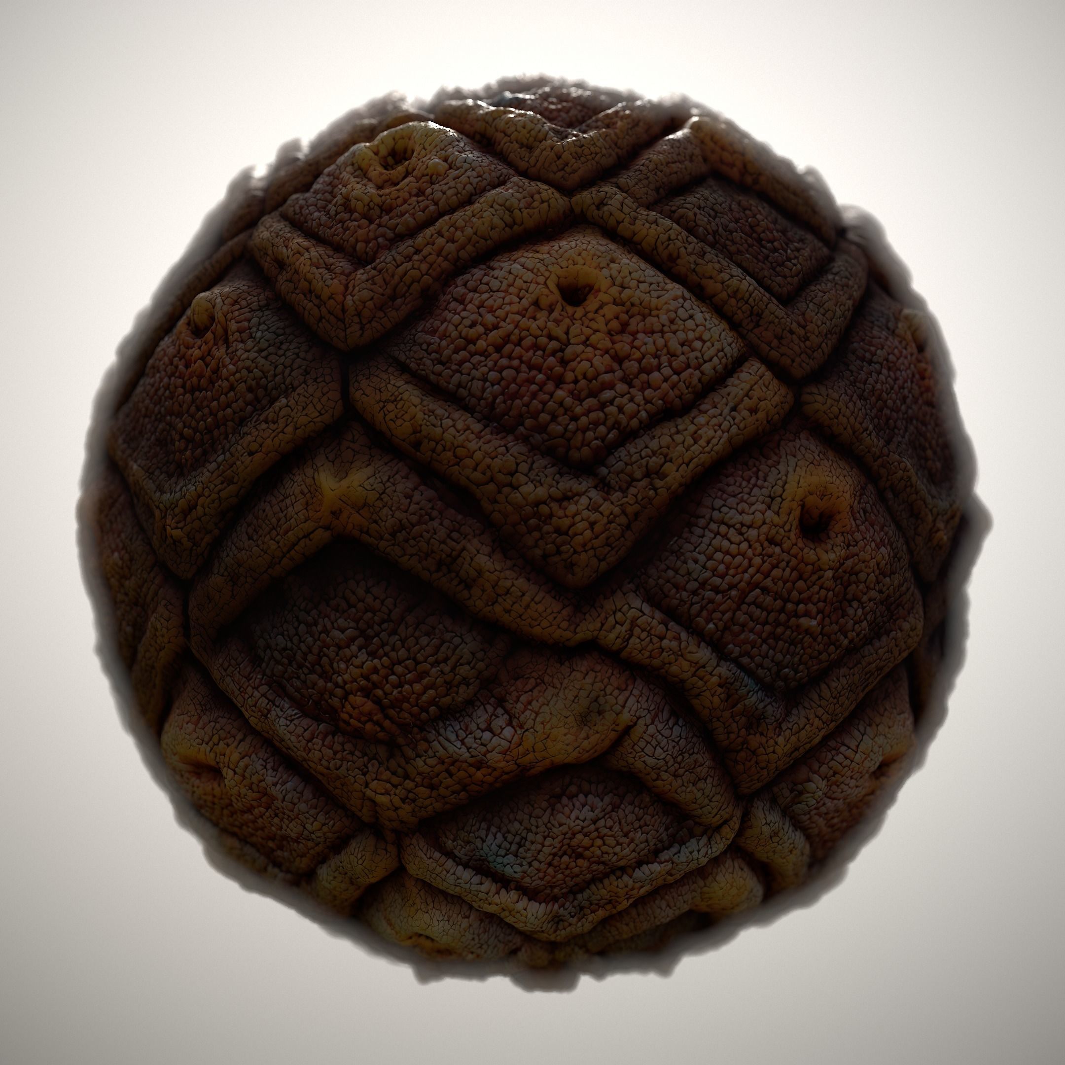 Material Skin Alien 24 Seamless PBR Texture Texture | CGTrader