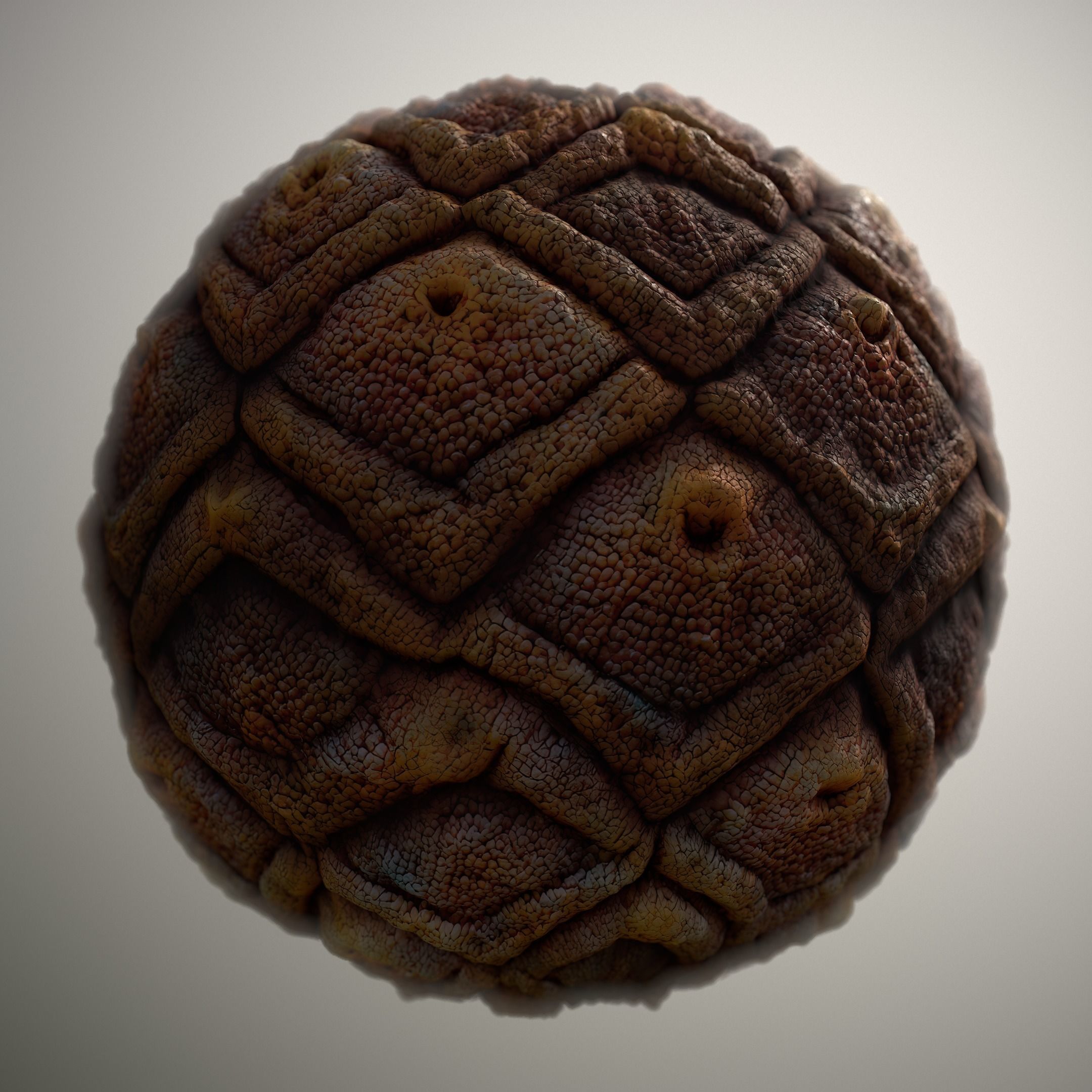 Material Skin Alien 24 Seamless PBR Texture Texture | CGTrader