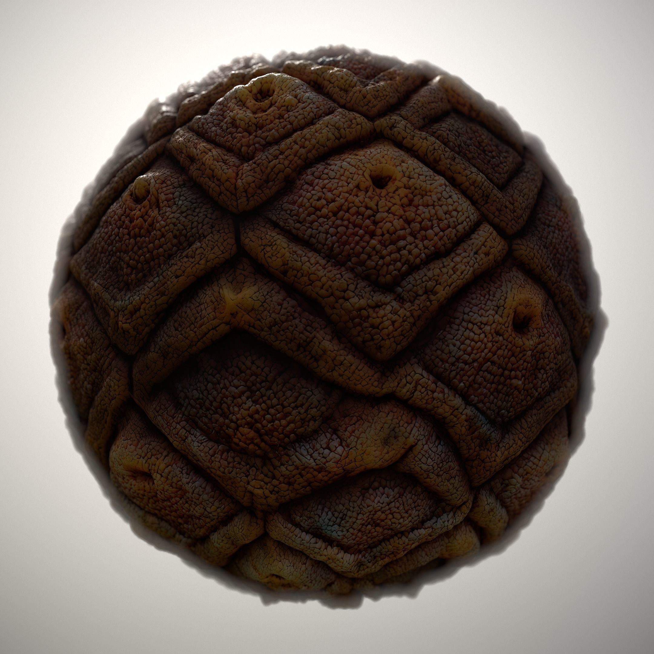 Material Skin Alien 24 Seamless PBR Texture Texture | CGTrader