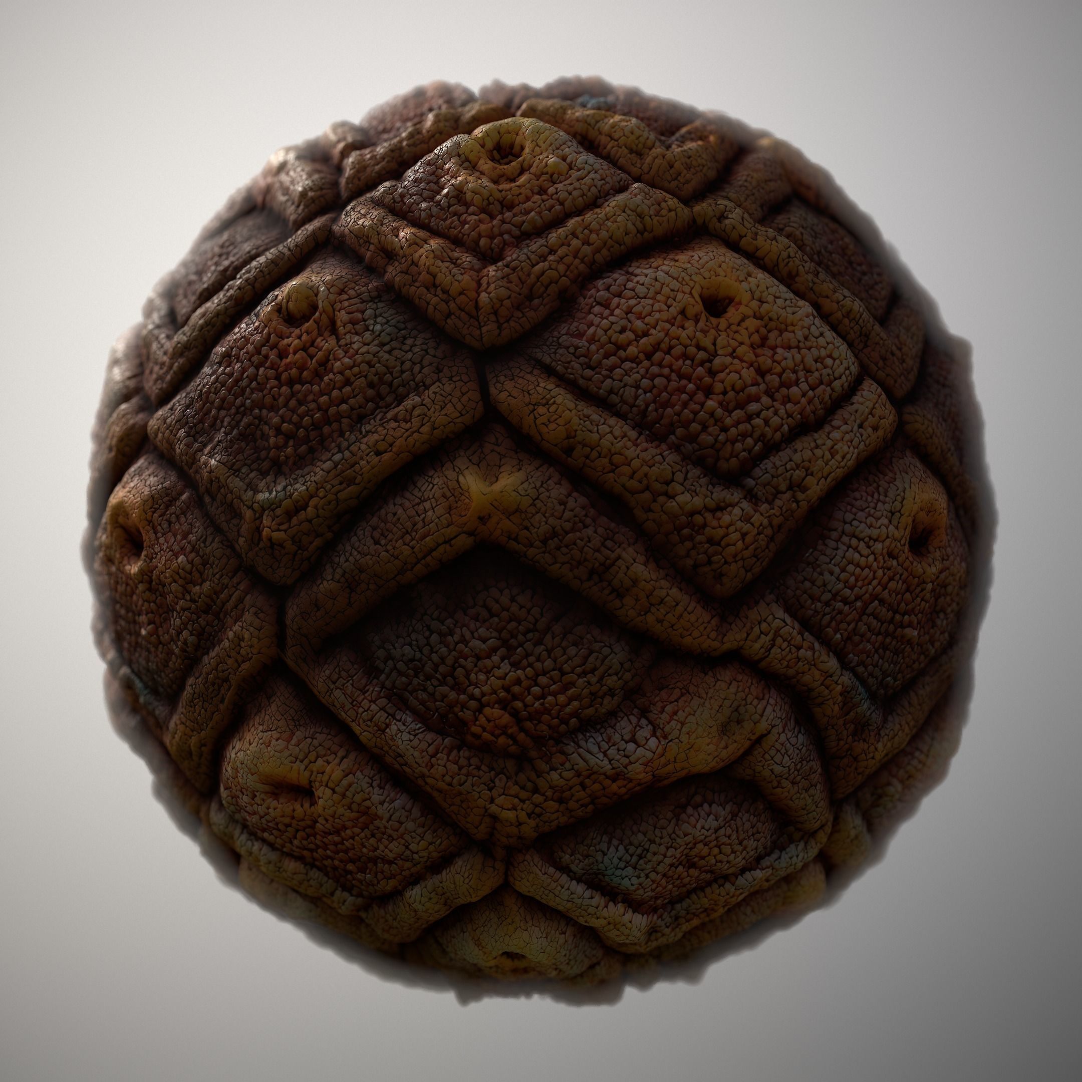 Material Skin Alien 24 Seamless PBR Texture Texture | CGTrader