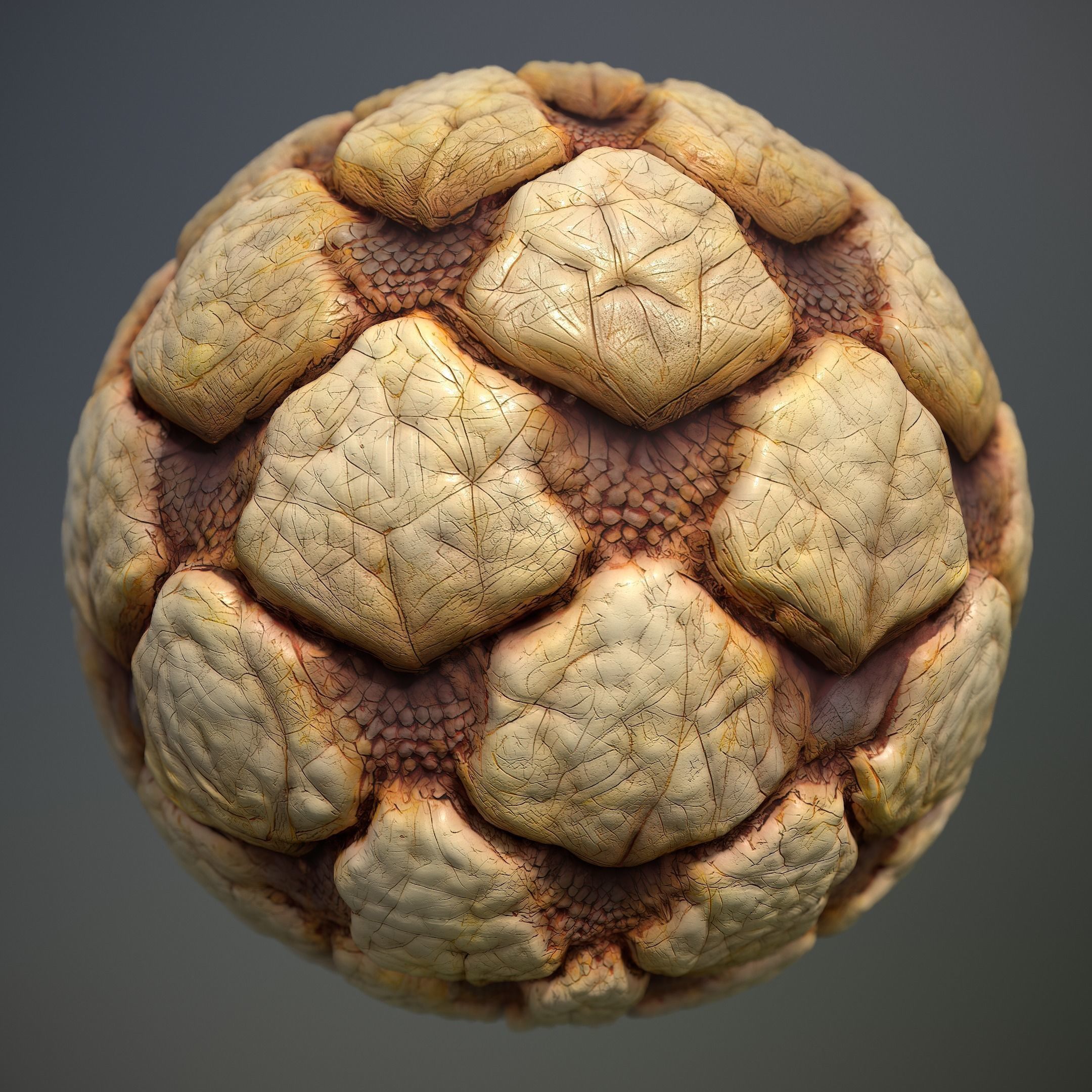 Material Skin Alien 23 Seamless PBR Texture Texture | CGTrader