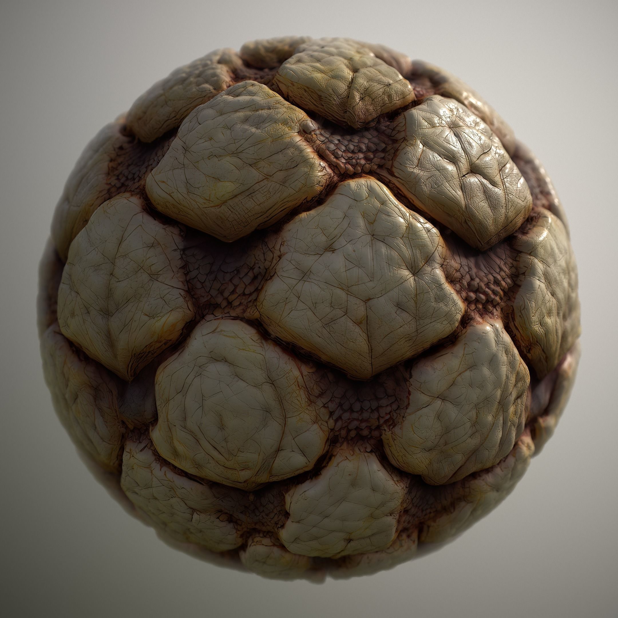 Material Skin Alien 23 Seamless PBR Texture Texture | CGTrader