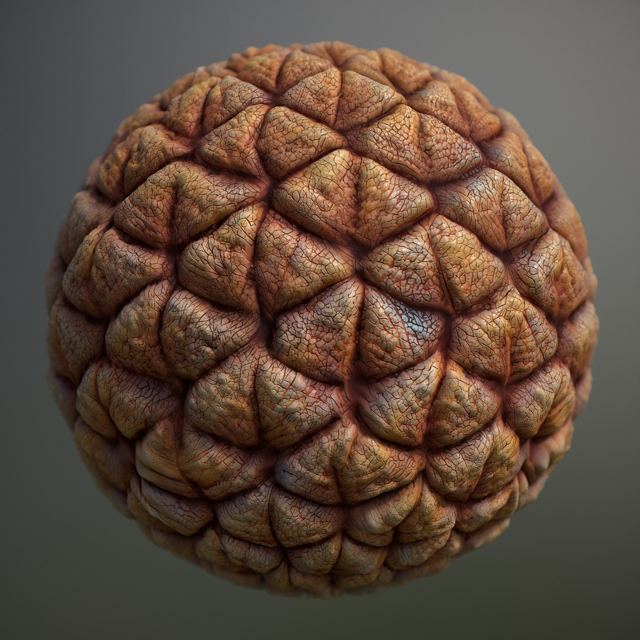 Material Skin Alien 21 Seamless PBR Texture Texture | CGTrader