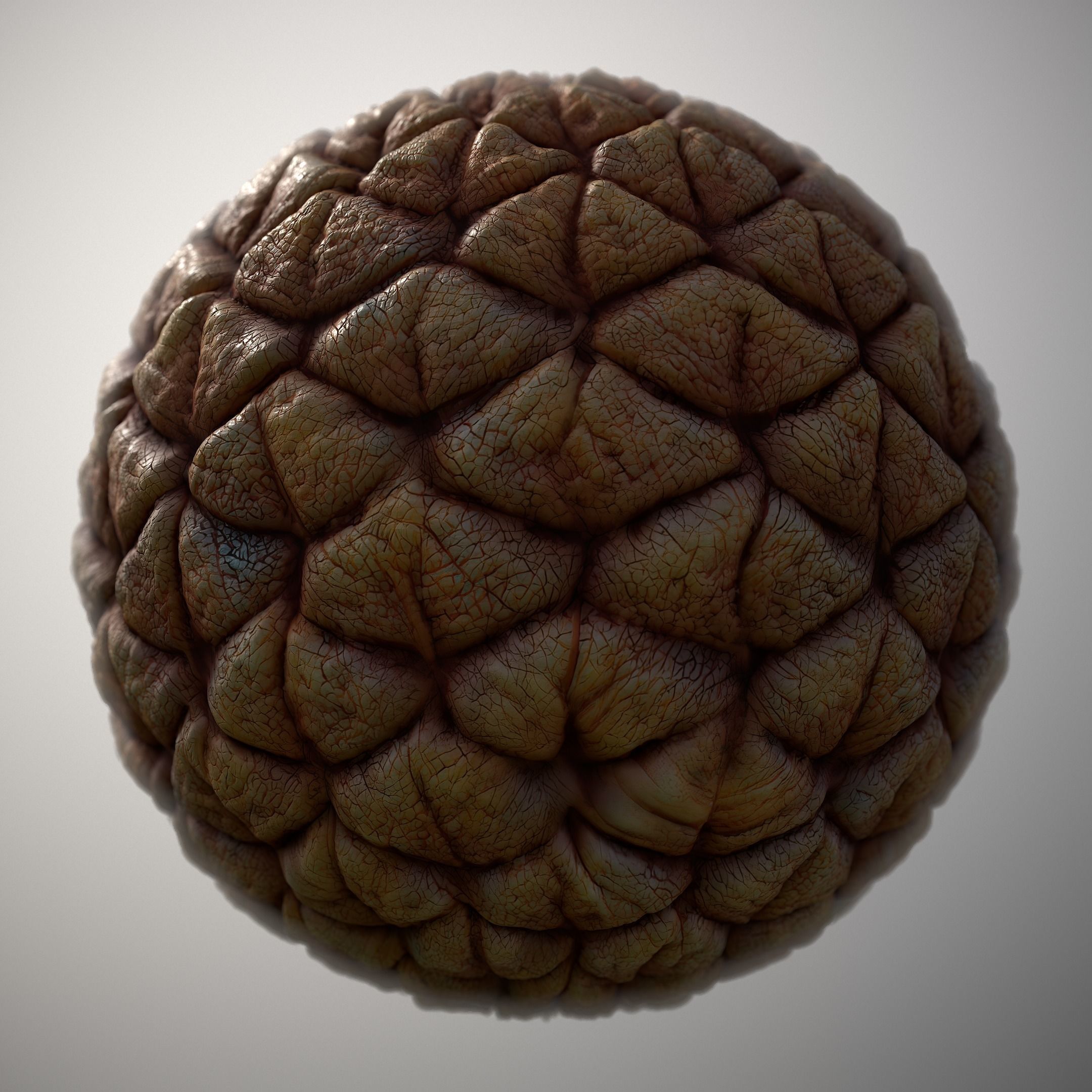 Material Skin Alien 21 Seamless PBR Texture Texture | CGTrader