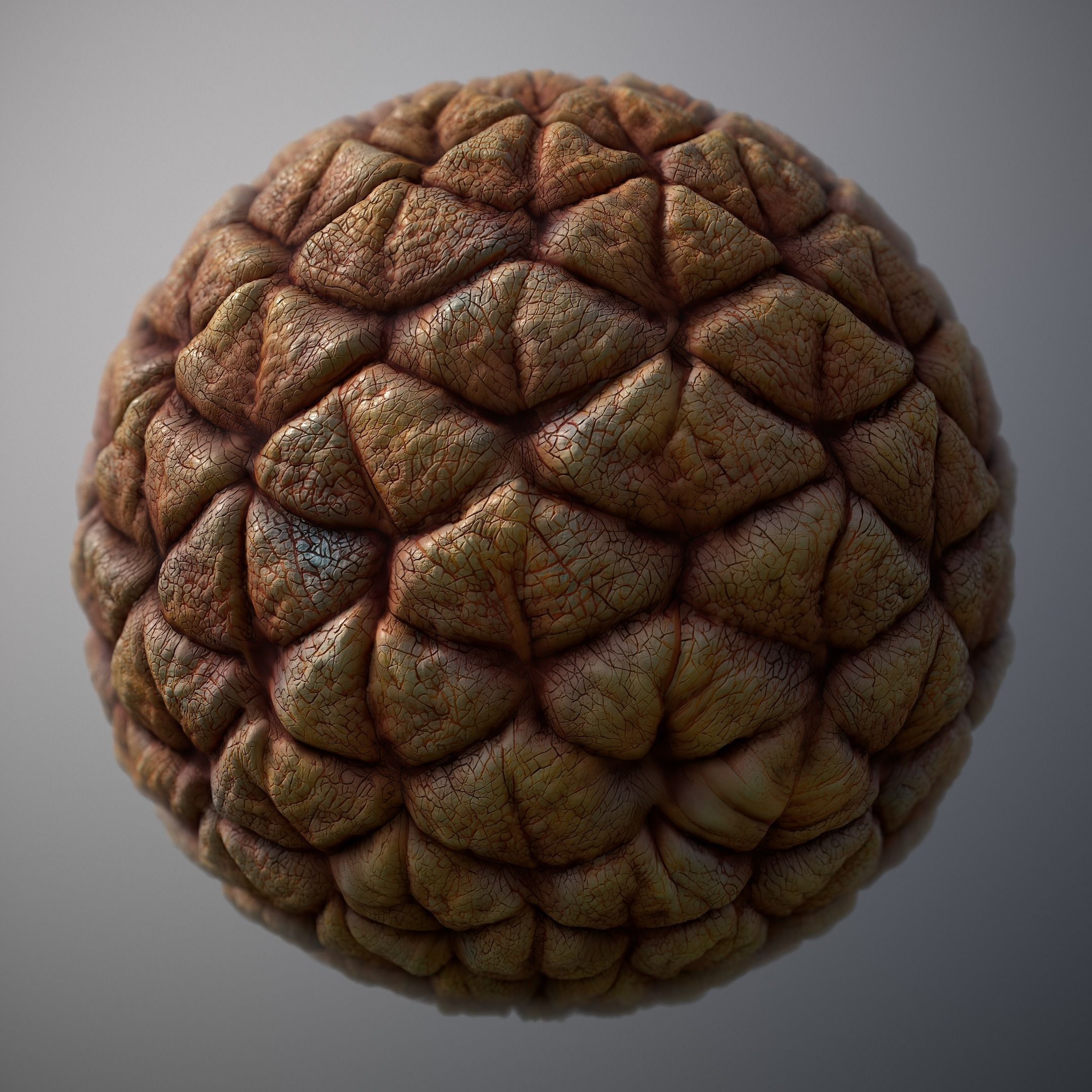 Material Skin Alien 21 Seamless PBR Texture Texture | CGTrader