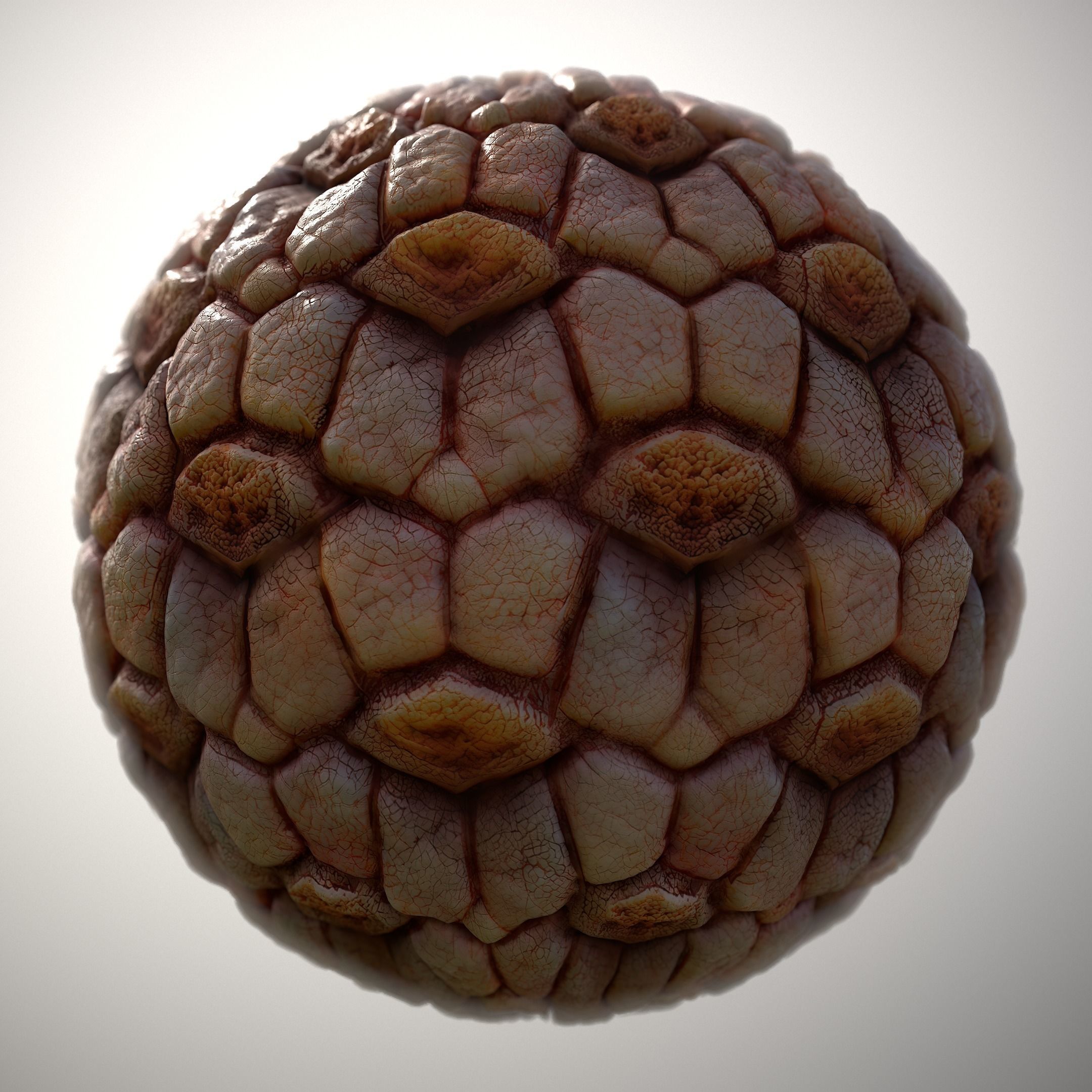 Material Skin Alien 16 Seamless PBR Texture Texture | CGTrader