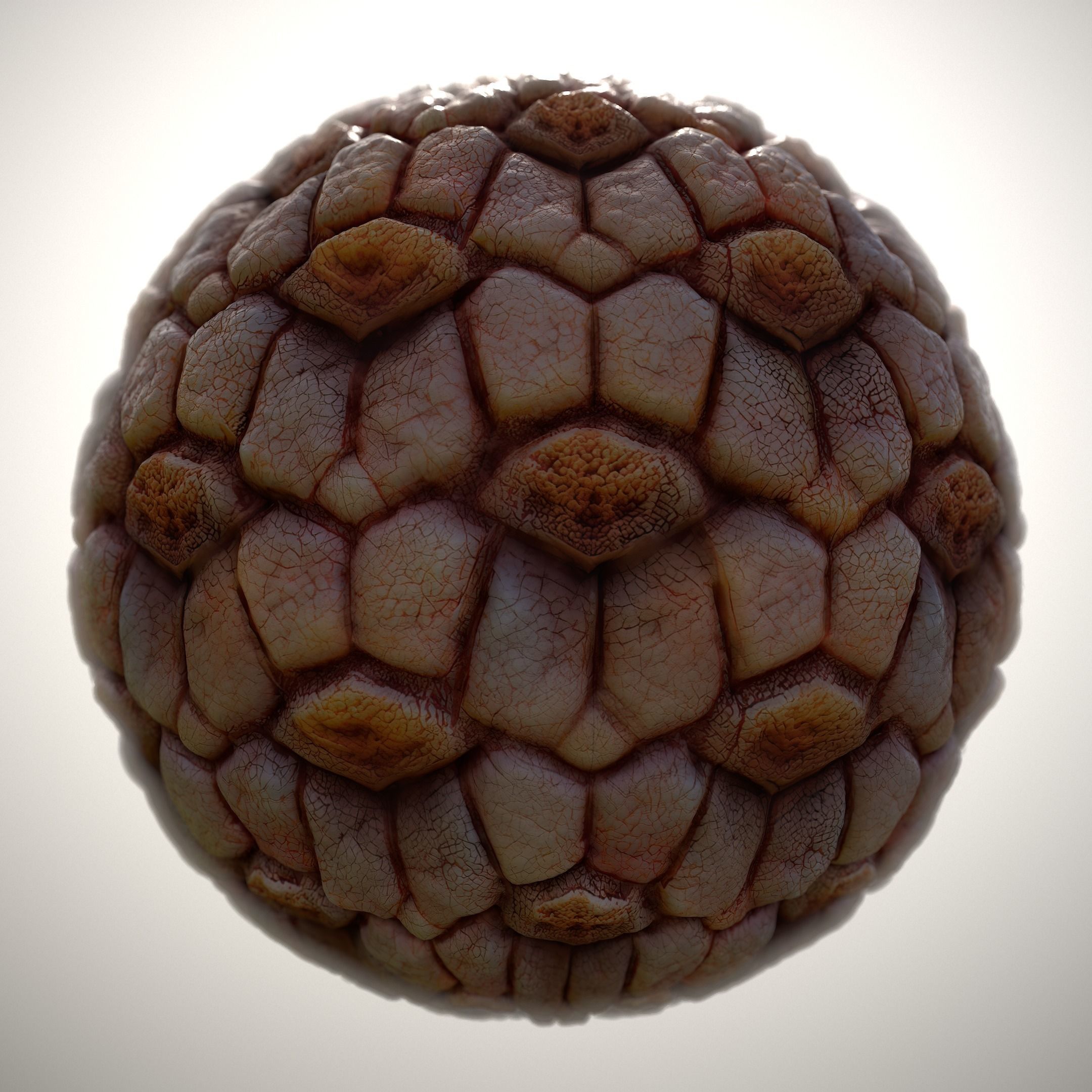 Material Skin Alien 16 Seamless PBR Texture Texture | CGTrader