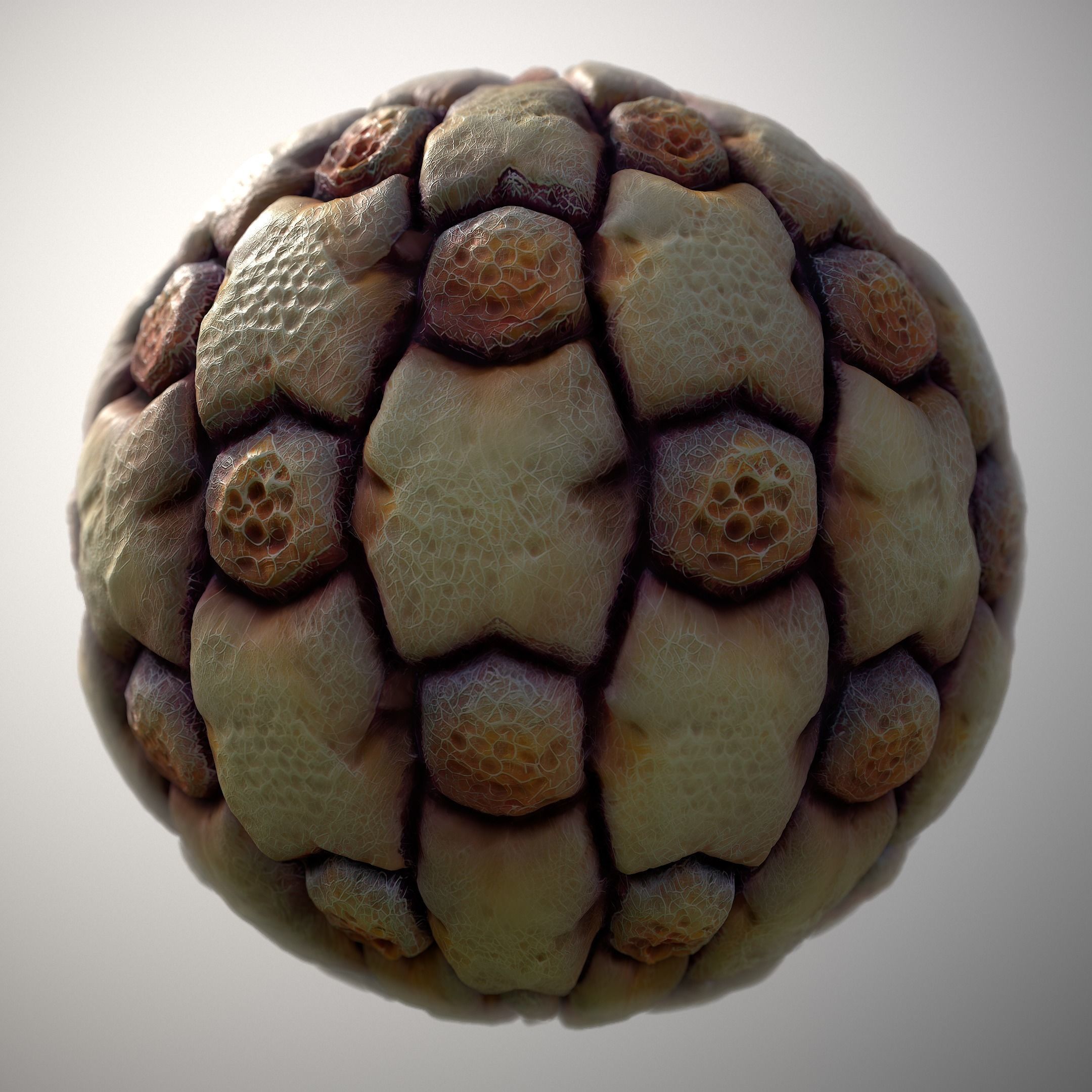 Material Skin Alien 14 Seamless PBR Texture Texture | CGTrader