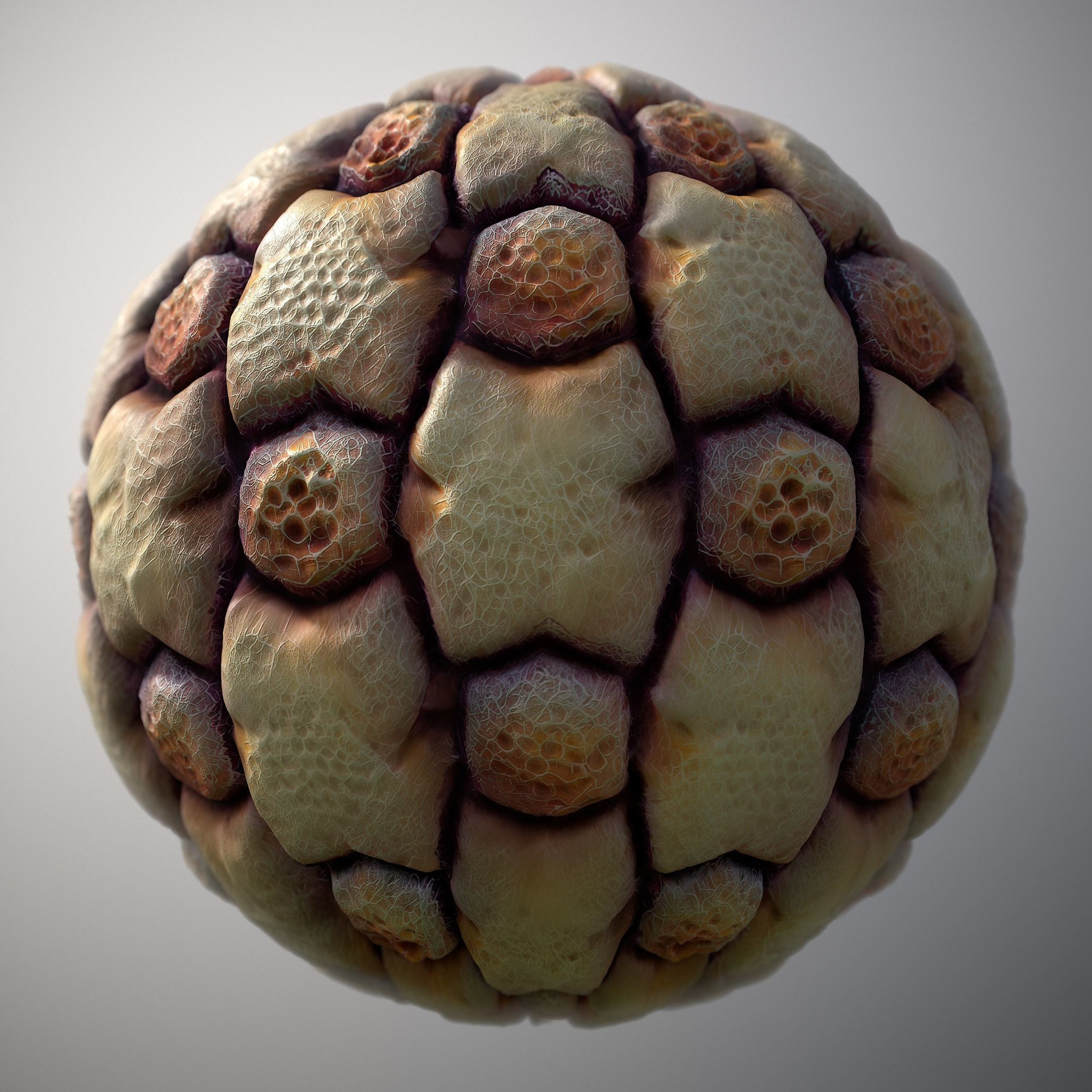 Material Skin Alien 14 Seamless PBR Texture Texture | CGTrader