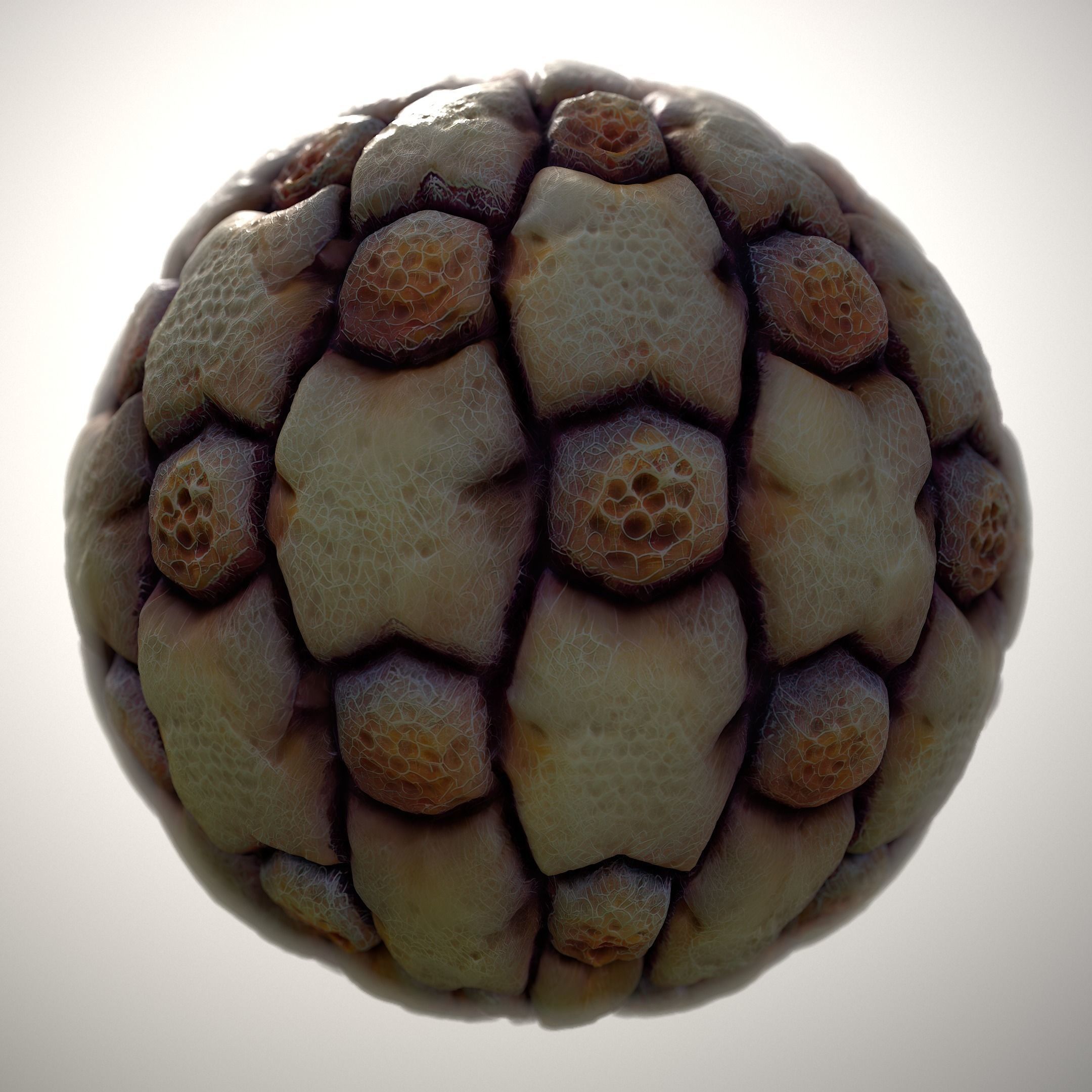 Material Skin Alien 14 Seamless PBR Texture Texture | CGTrader