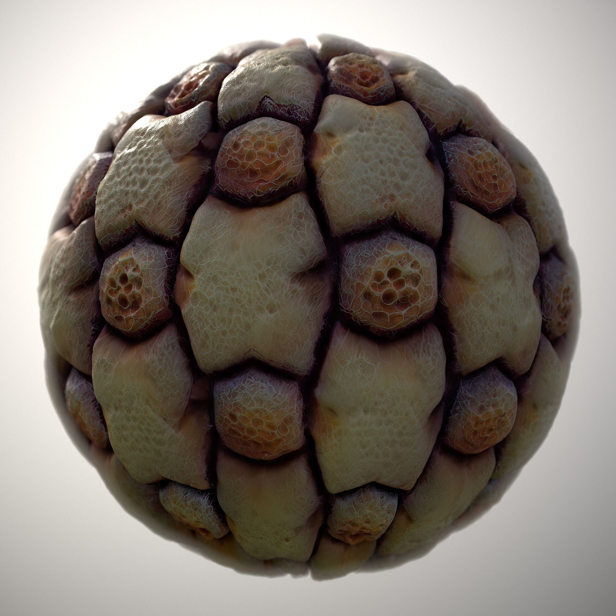 Material Skin Alien 14 Seamless PBR Texture Texture | CGTrader