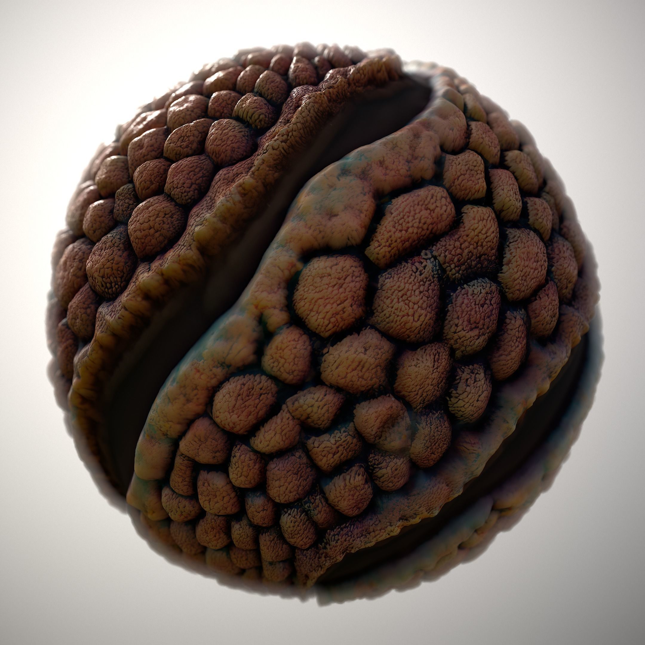 Material Skin Alien 12 Seamless PBR Texture Texture | CGTrader