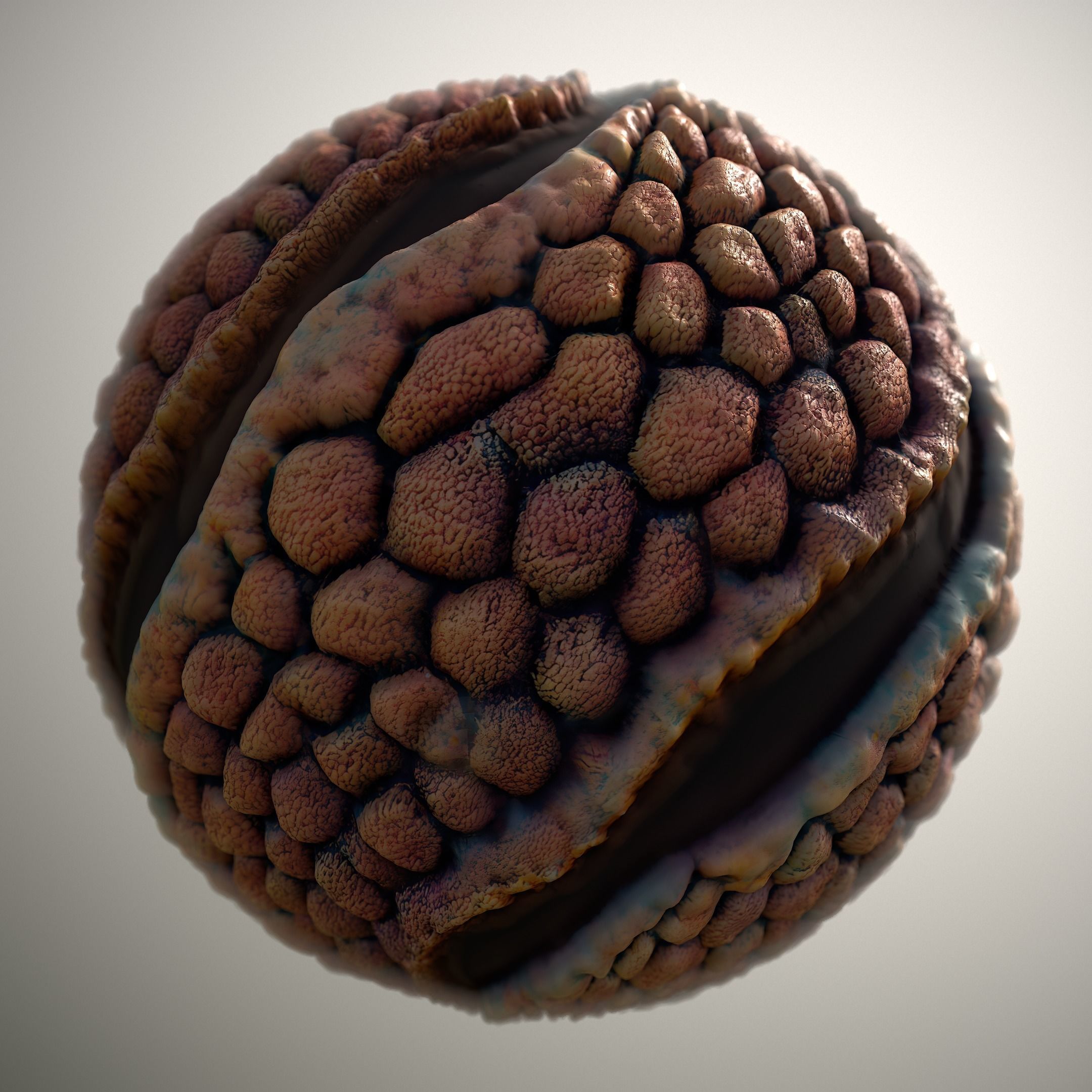 Material Skin Alien 12 Seamless PBR Texture Texture | CGTrader