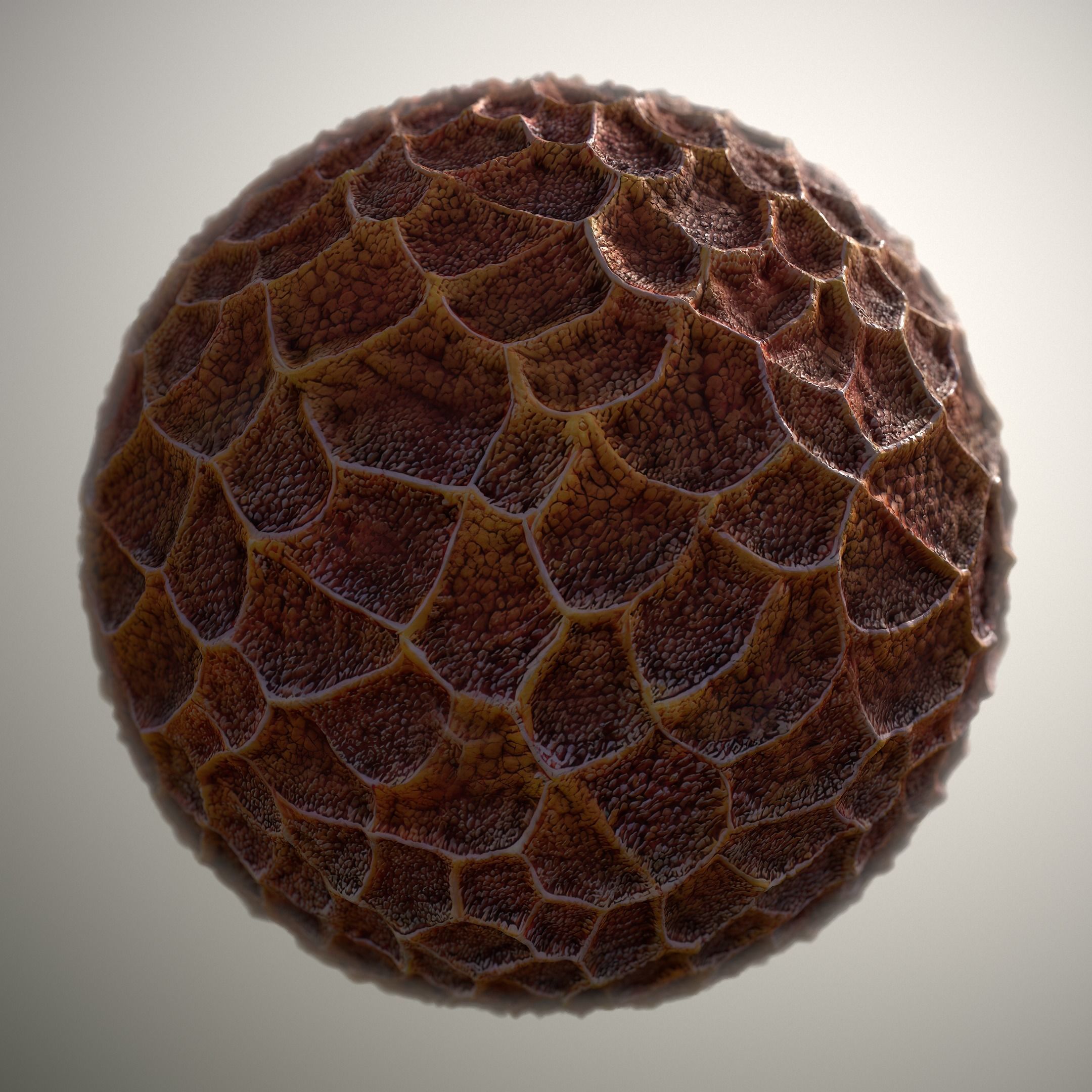 Material Skin Alien 11 Seamless PBR Texture Texture | CGTrader